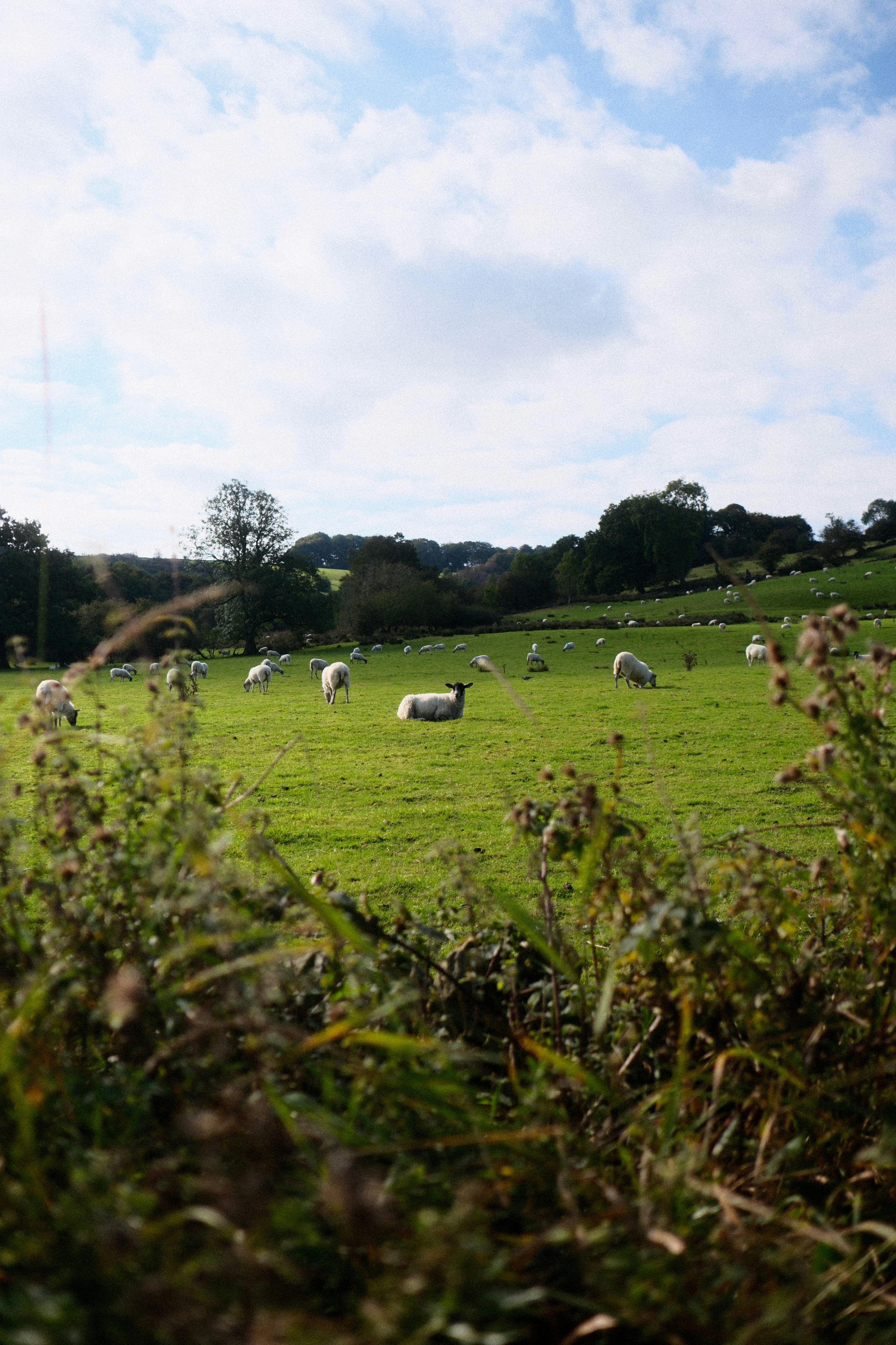 Photo by Aleksei Agafonov with Fujifilm X-T5