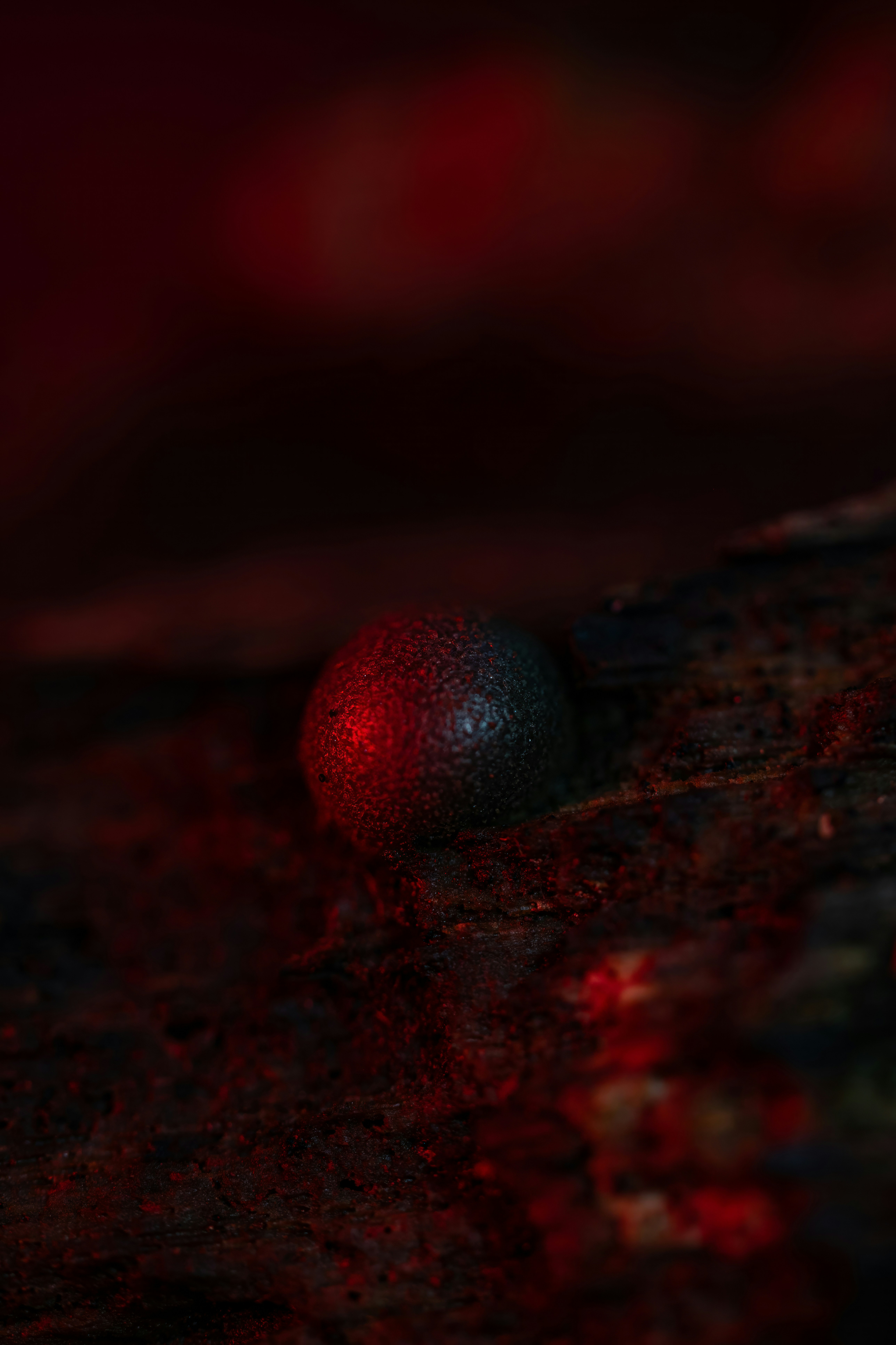 A red and black object sitting on top of a table photo – Free Nature ...
