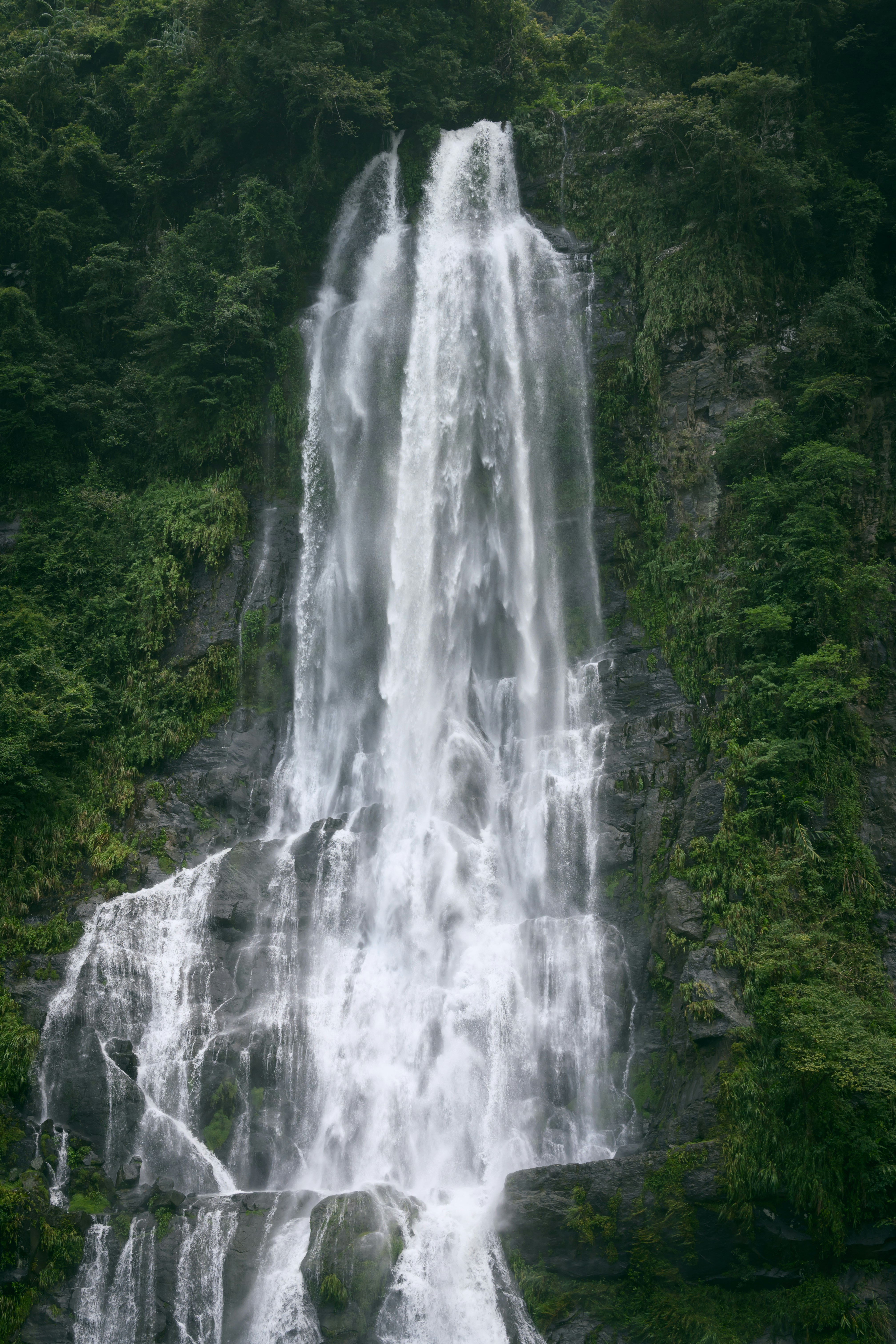 A very tall waterfall in the middle of a forest photo – Free 台湾 新北市烏來 ...