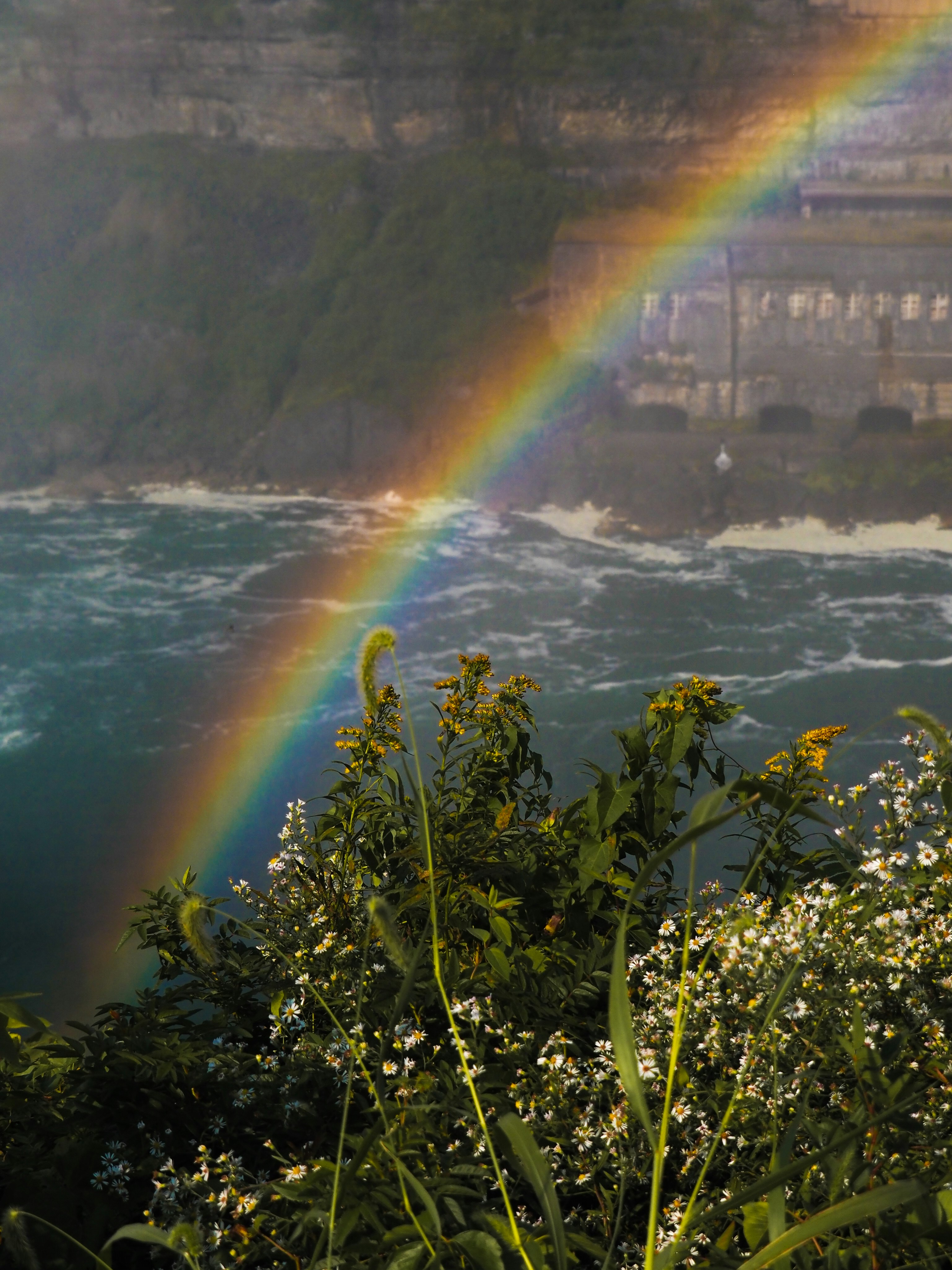 Iris Yan (@iriiiis) | Unsplashフォトコミュニティ