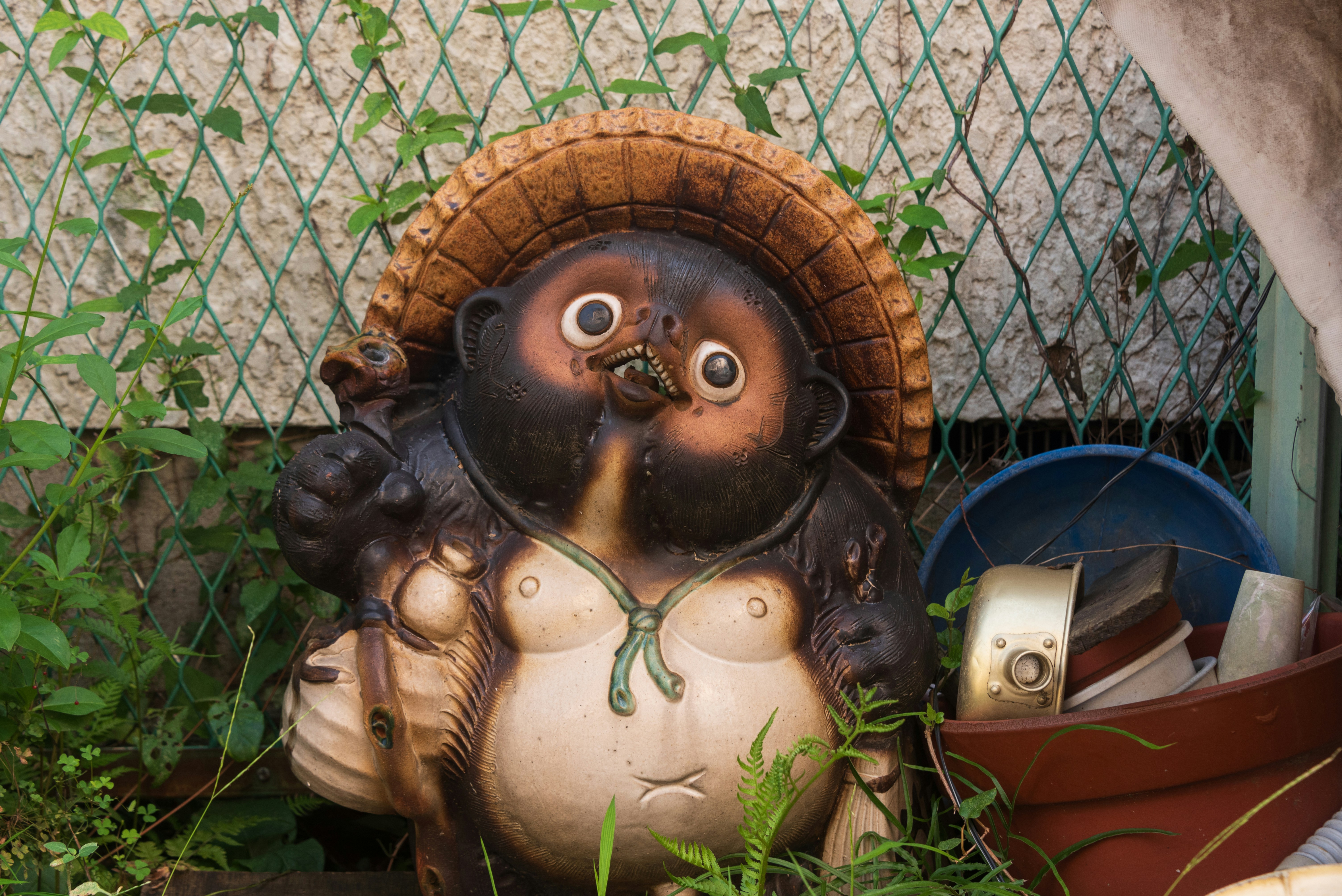 Tanuki statue nestled among greenery and urban artifacts, with a textured wall and fence backdrop.