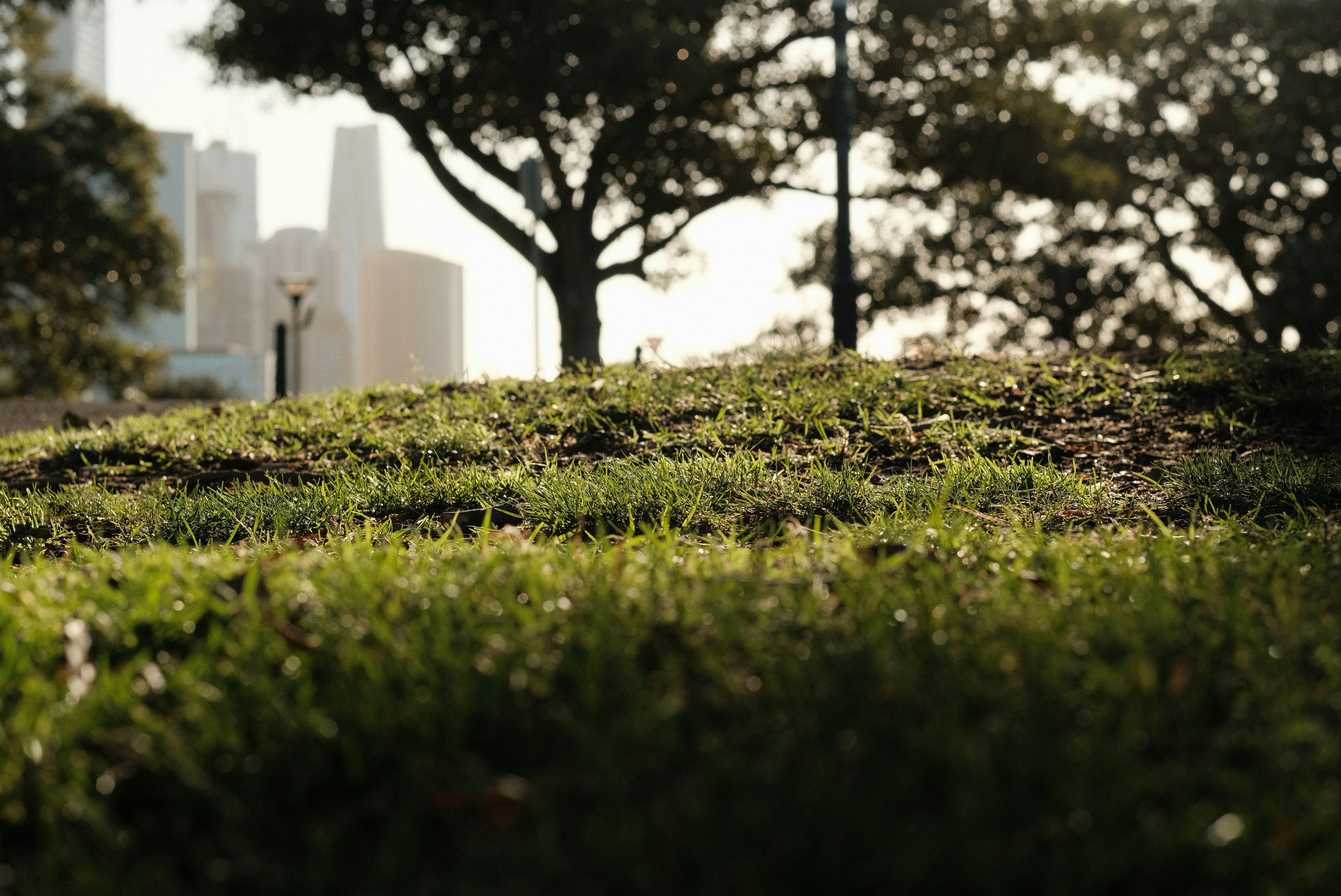 Photo by Dominic Kurniawan Suryaputra with Fujifilm X-T2