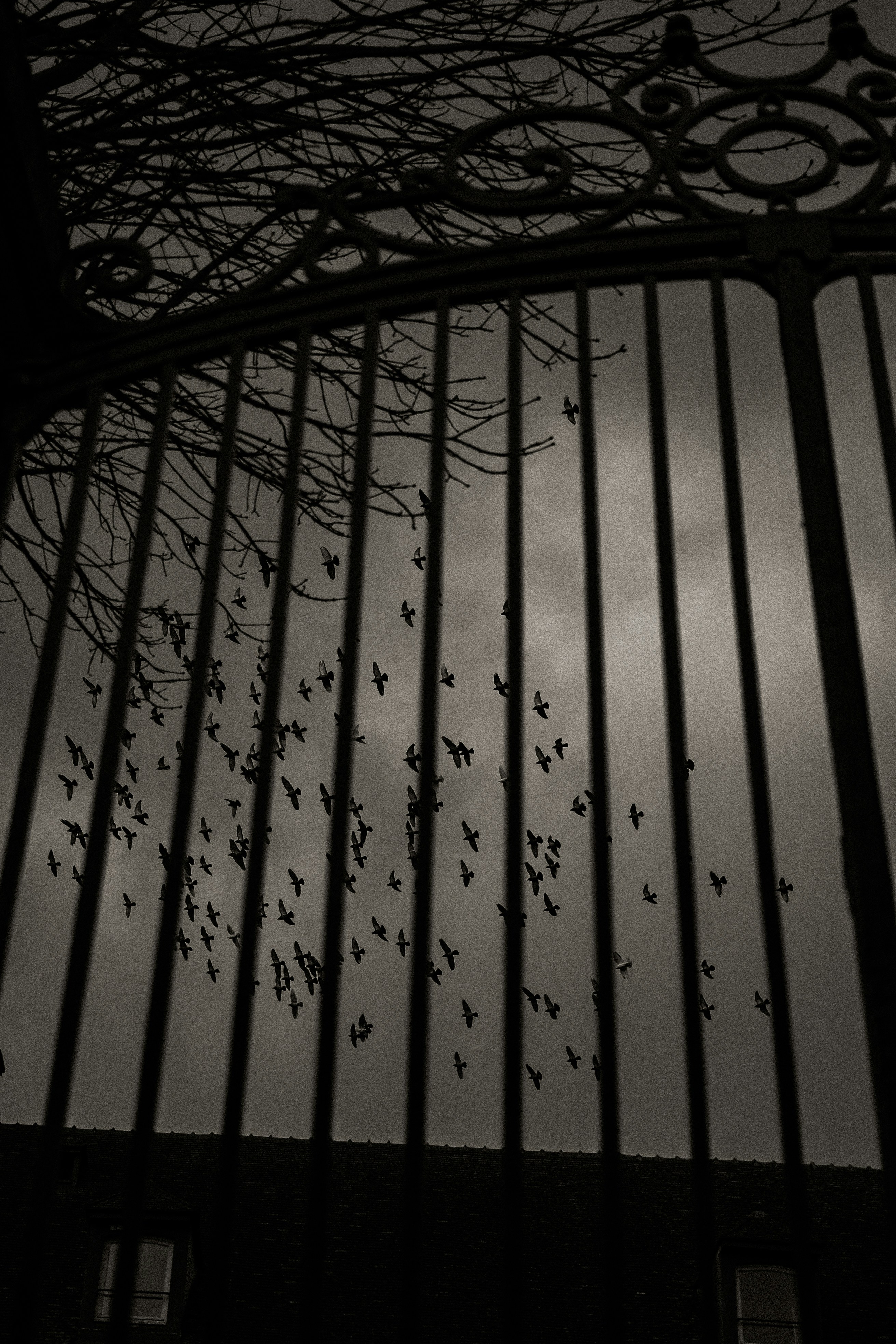 Silhouette Chorus Through the Iron Gate