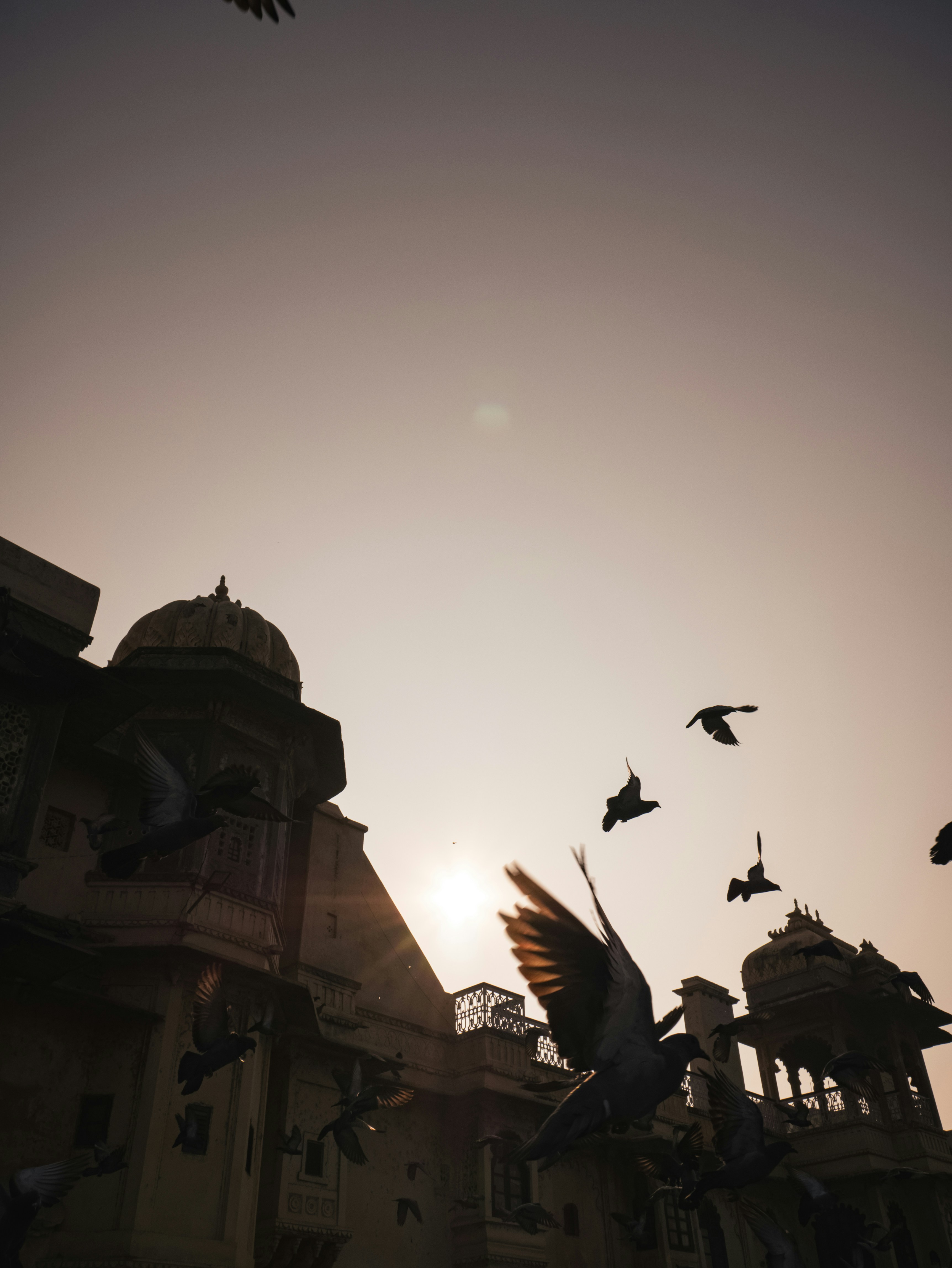 Dusk over the Dome: Pigeons in Flight Above a Heritage Facade