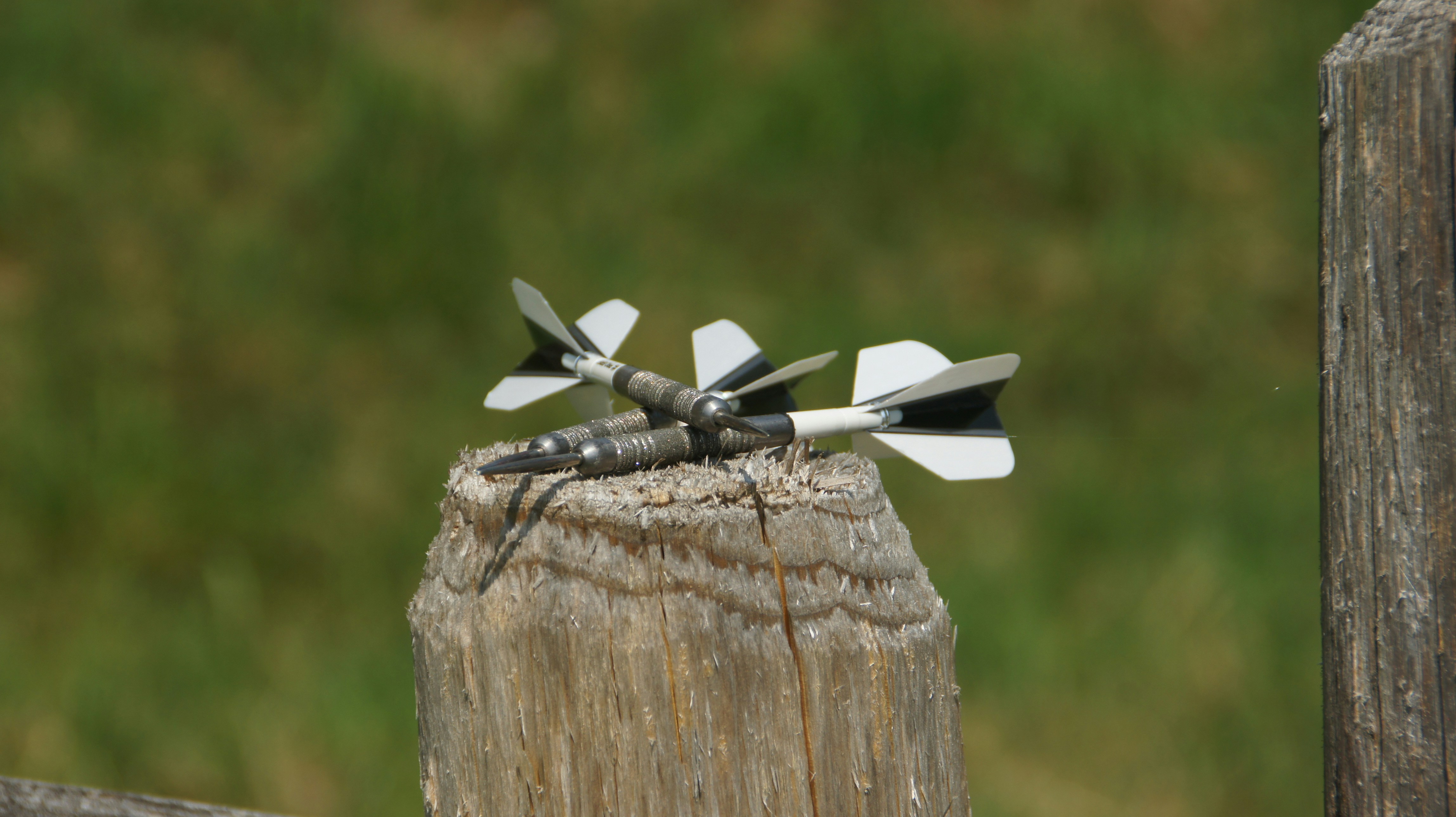 Two miniature crossbows with white-fletched arrows rest atop a weathered wooden post, set against a softly blurred green background.