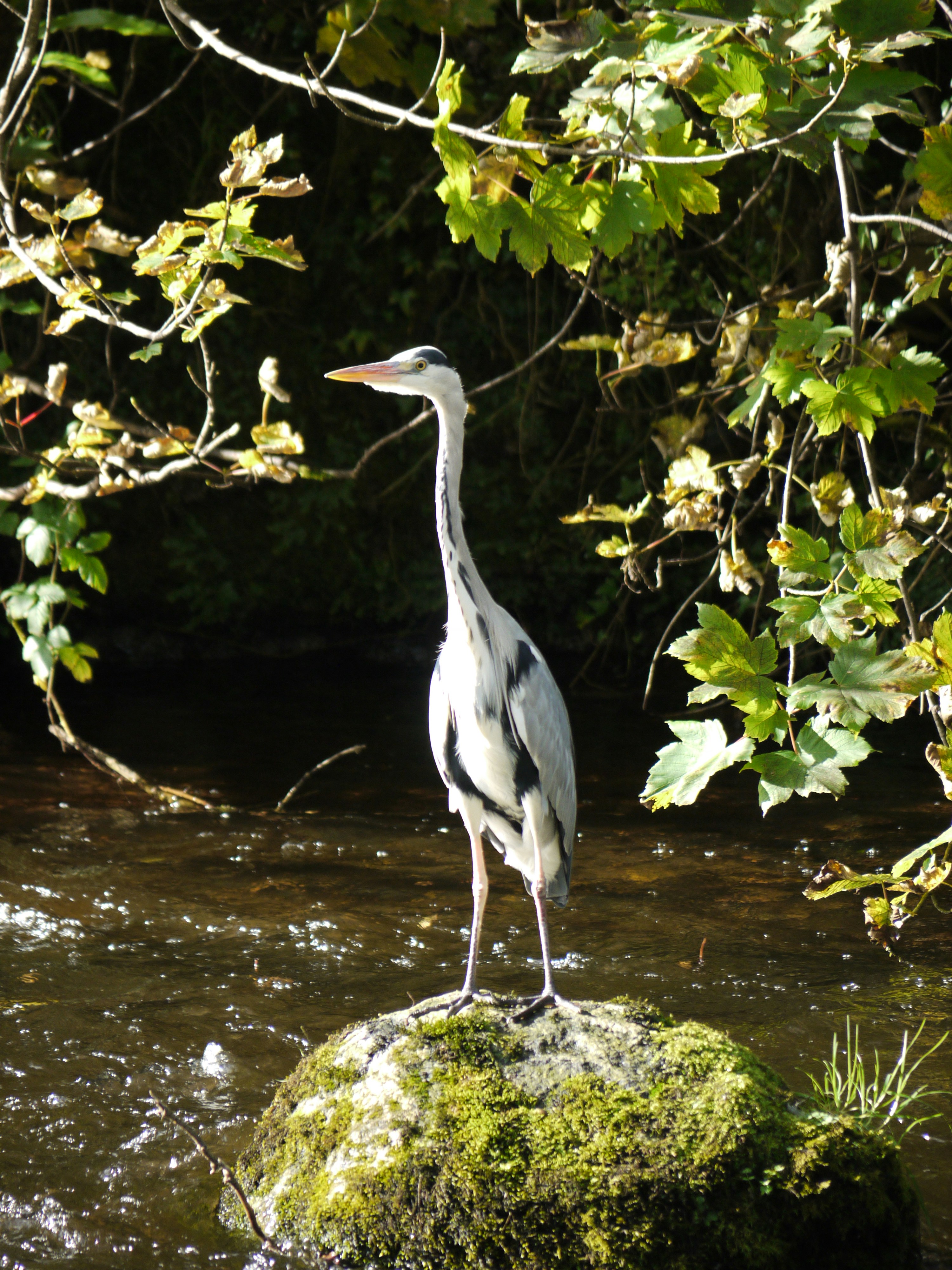 Photo by Fiona Dodd with Panasonic Lumix G10