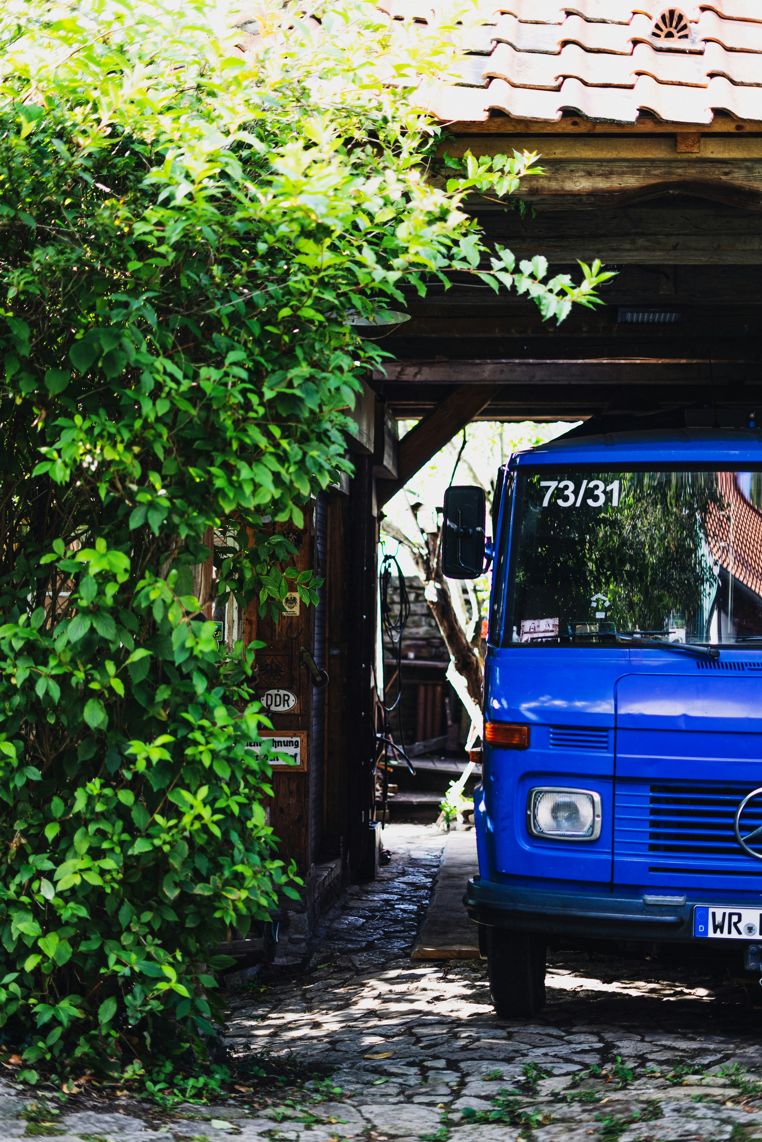 Blue Mercedes Bus Framed by Verdant Ivy in a Cobblestone Courtyard