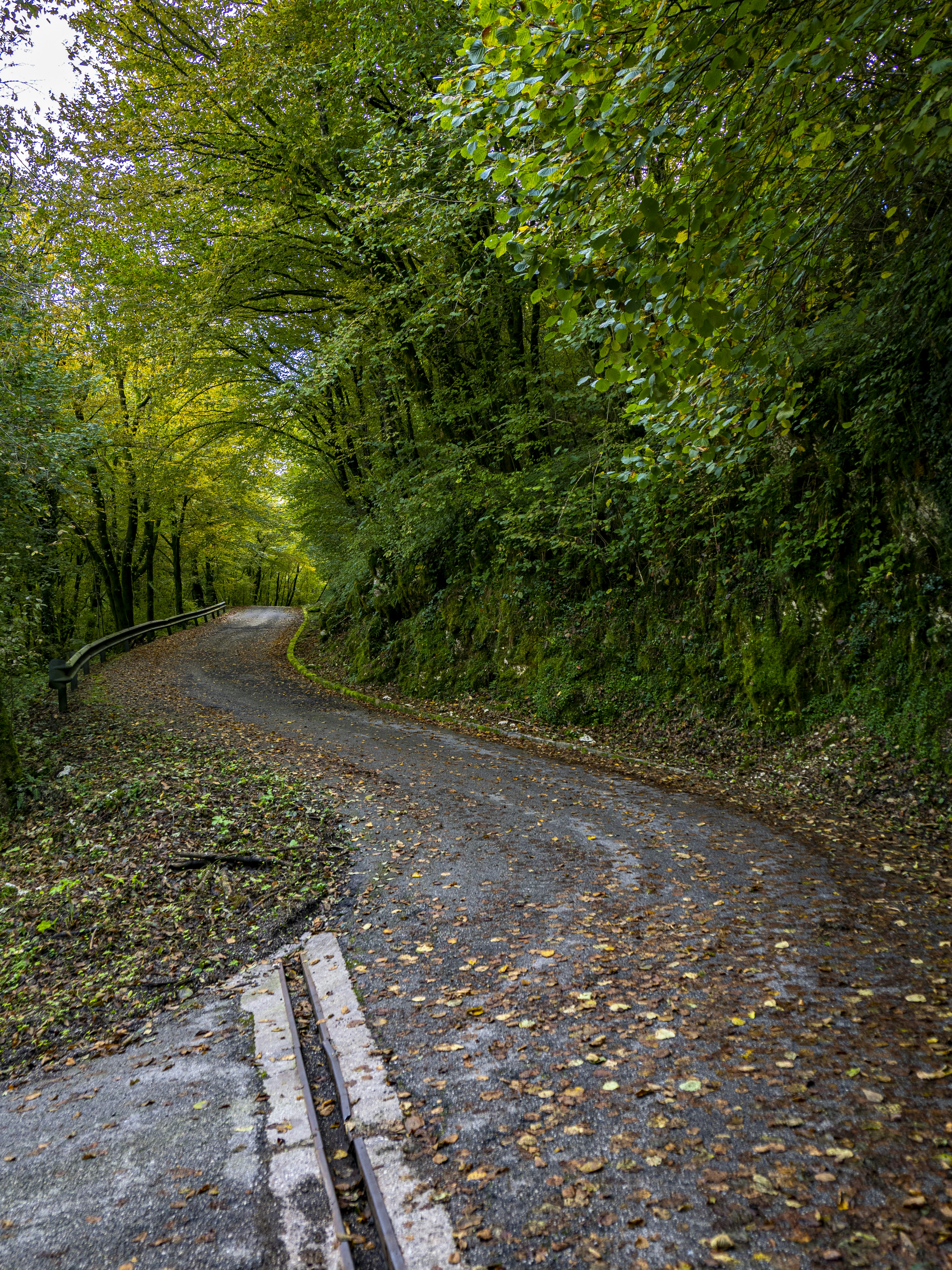 Photo by Diego Romeo with OM System OM-1