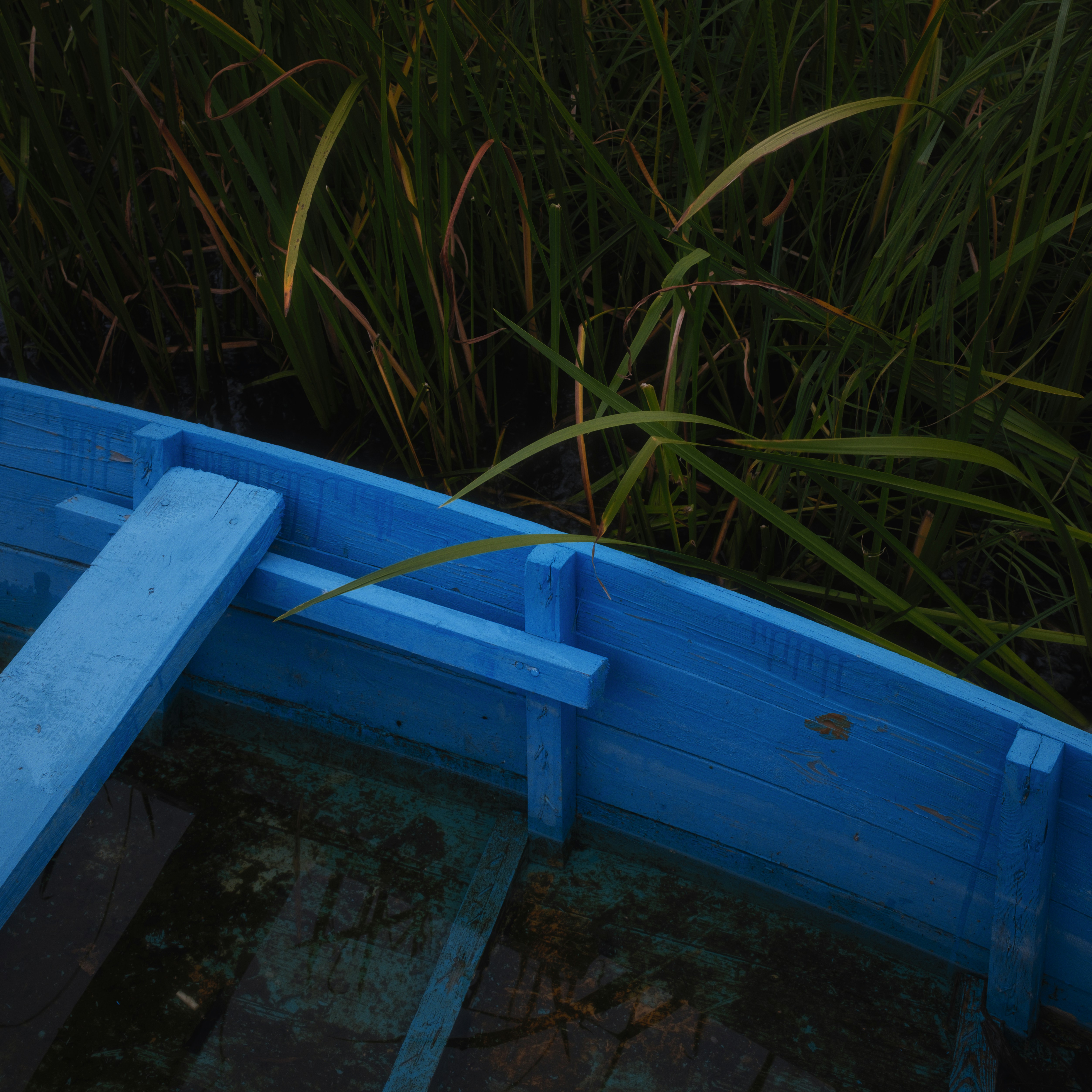 Blue Hull at Dusk: Reeds, Reflections, and Quiet Water