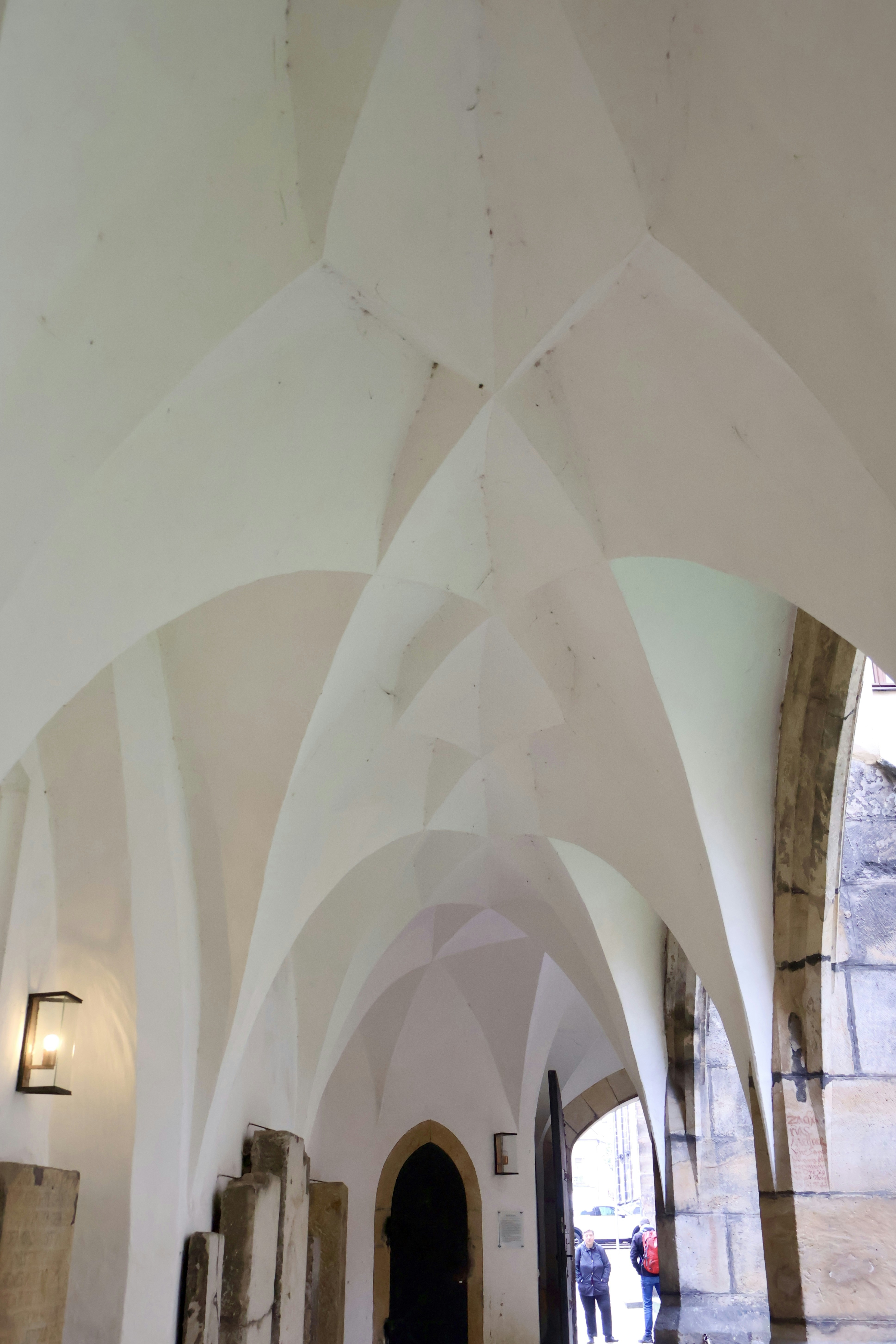 Sample photo from Canon EOS R50