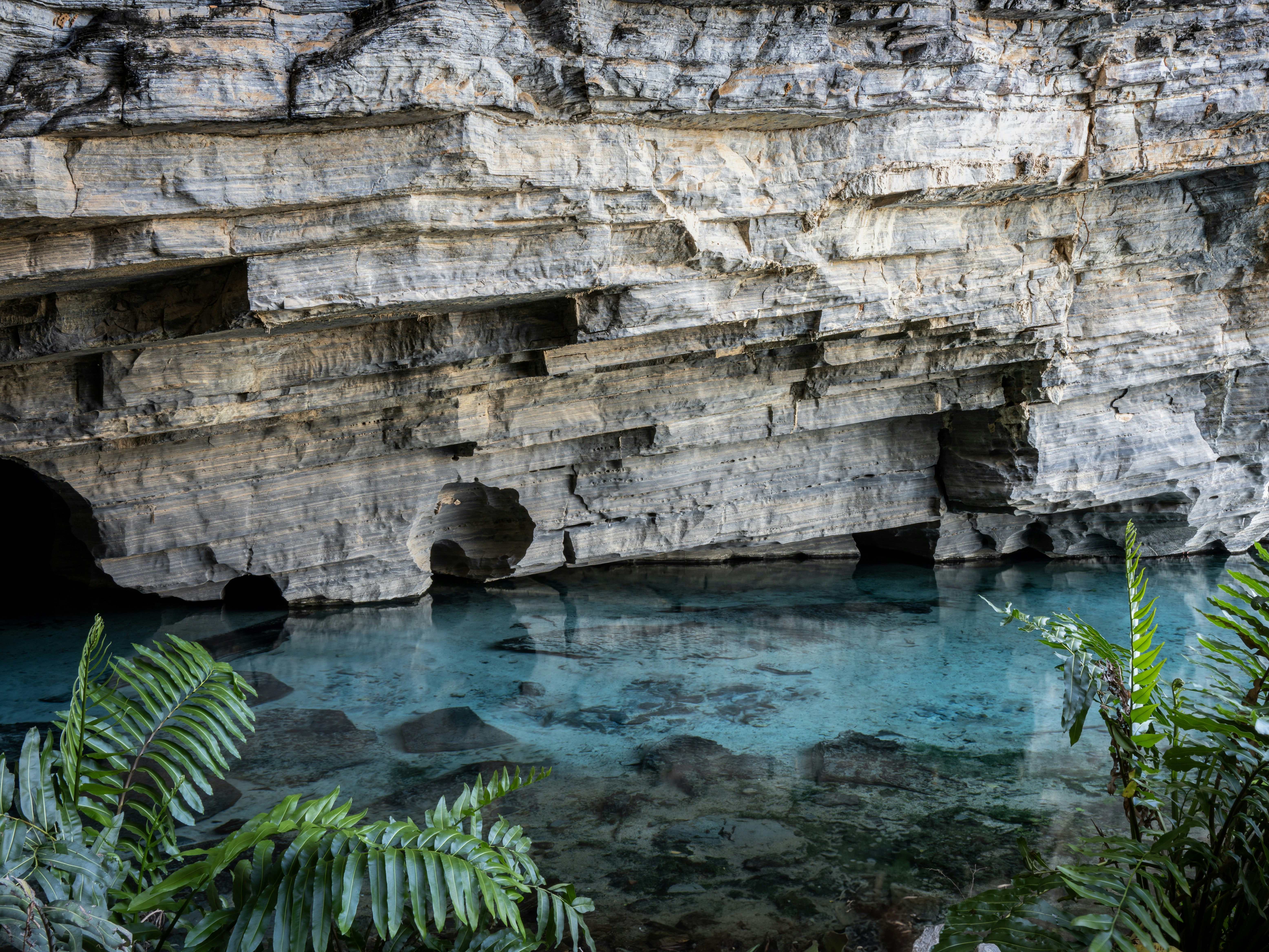 Crystal-clear turquoise pool nestled within a rocky cave surrounded by lush ferns.