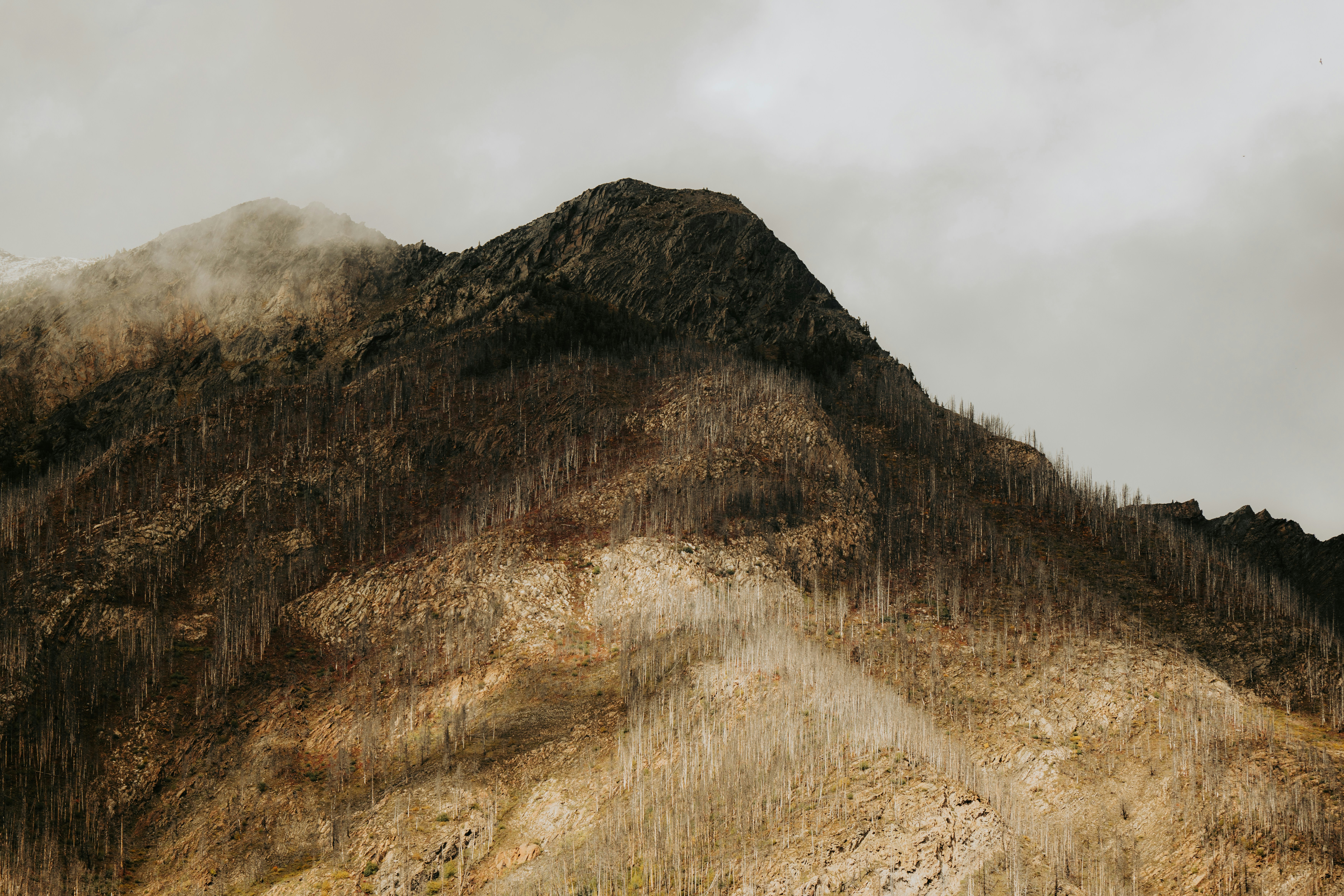 Stone Crown: Mist-Wrapped Summit with Exposed Strata