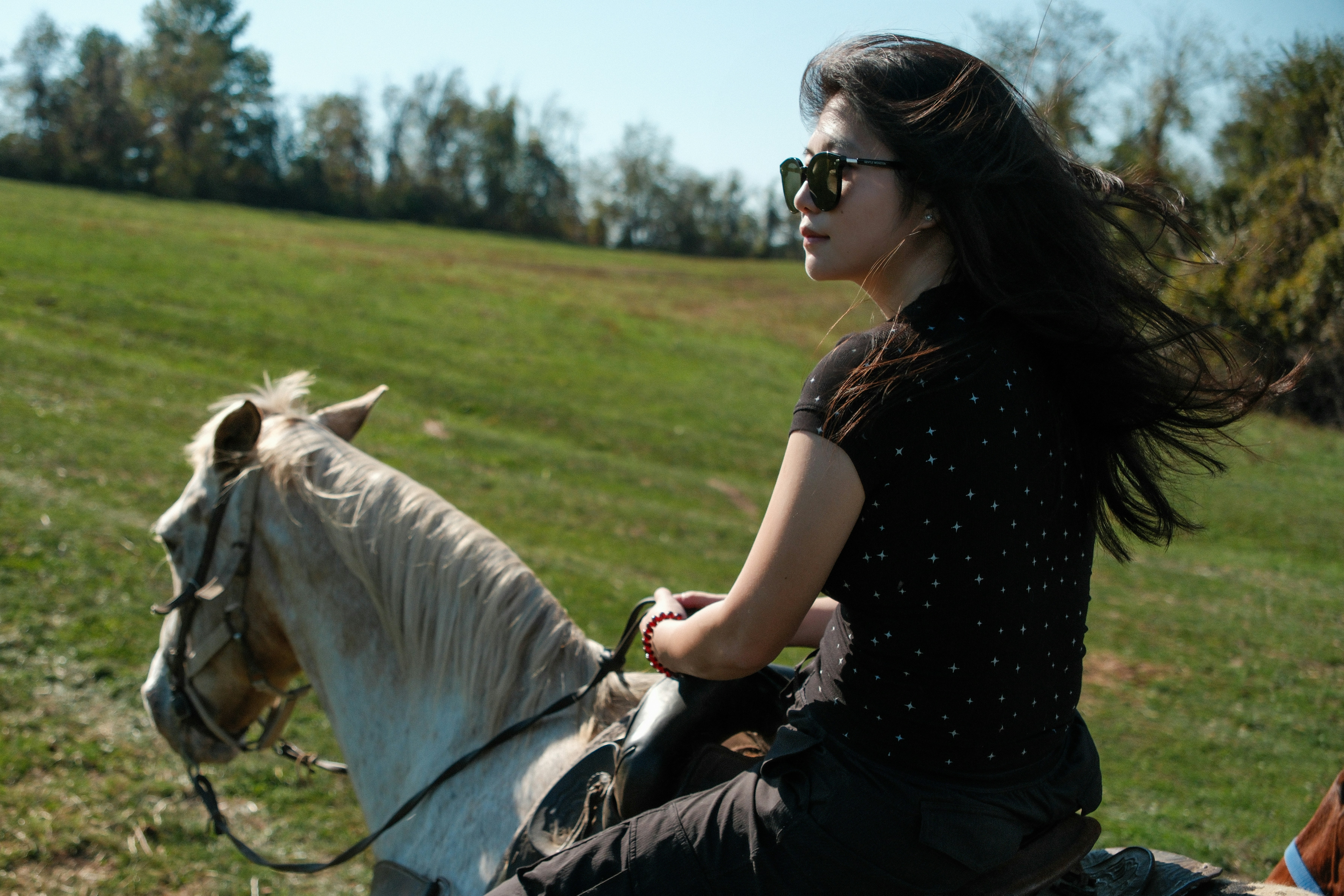 Sunlit Saddle: A Quiet Ride Across the Meadow