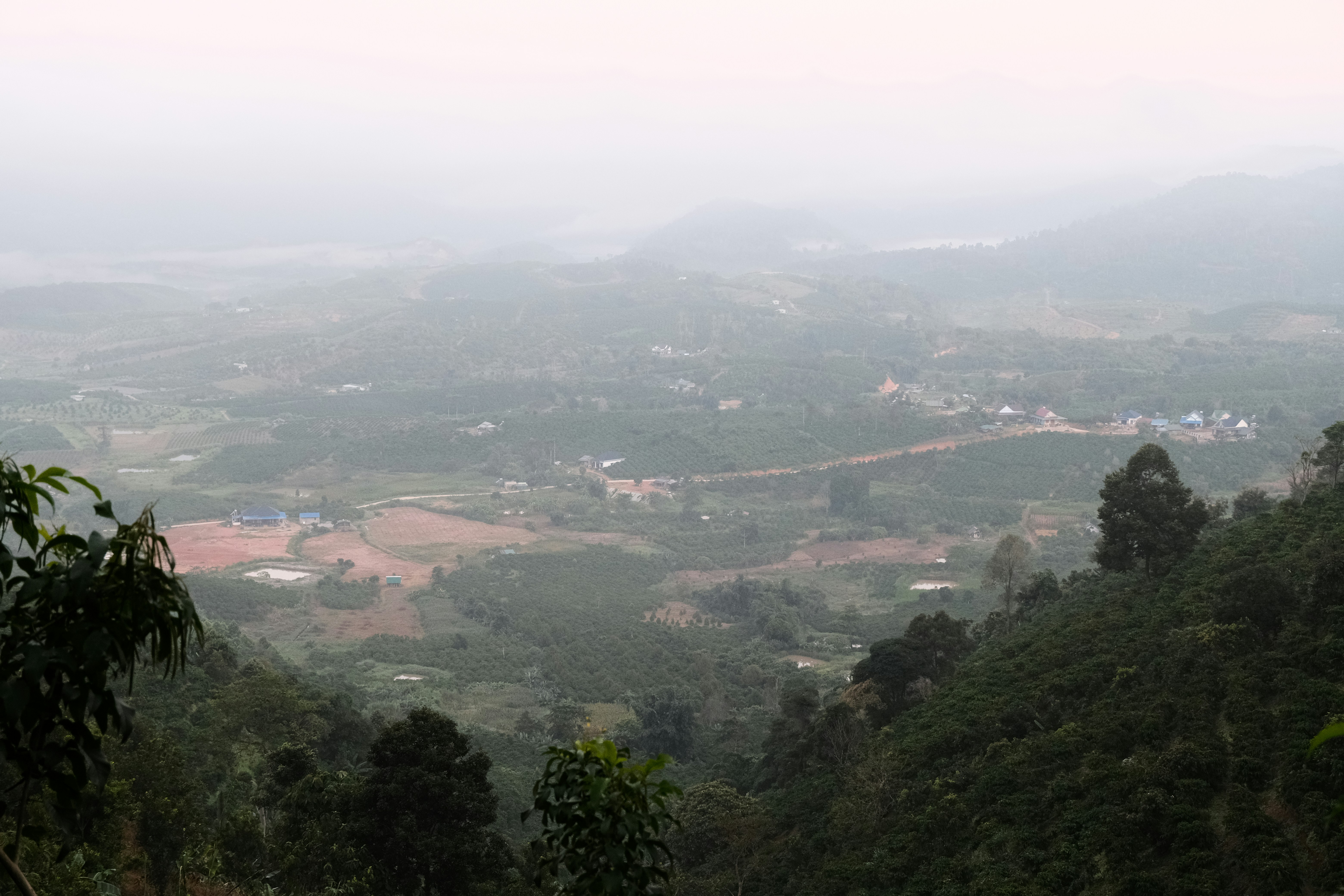 Expansive view of a mist-covered valley with rolling hills and scattered settlements at dawn. The lush greenery contrasts with the soft, hazy horizon.