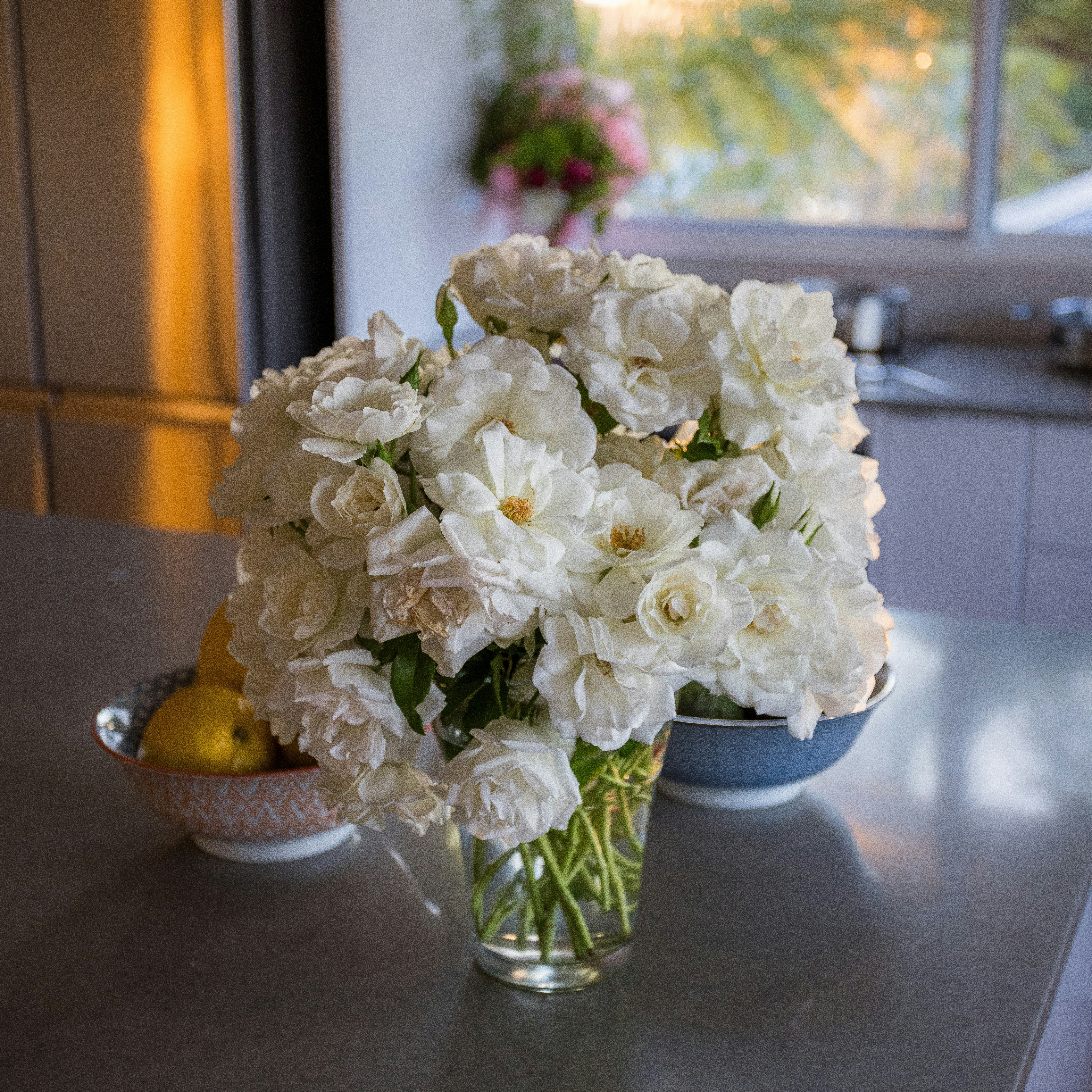 Nicole Mckenzie (@chickiedo) | Komunitas Foto Unsplash