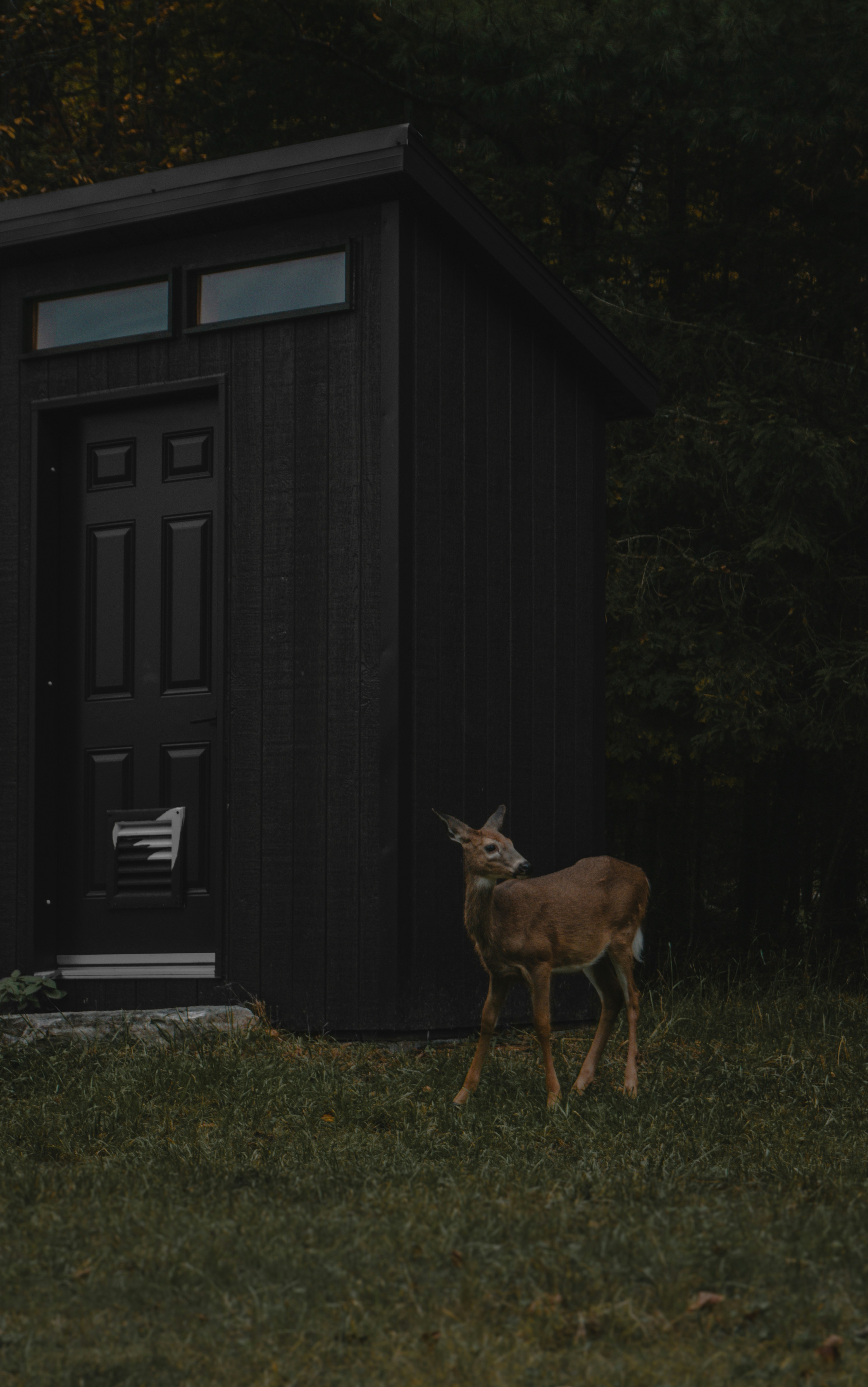 Photo by Mathieu Deslauriers with Sony Alpha 6000