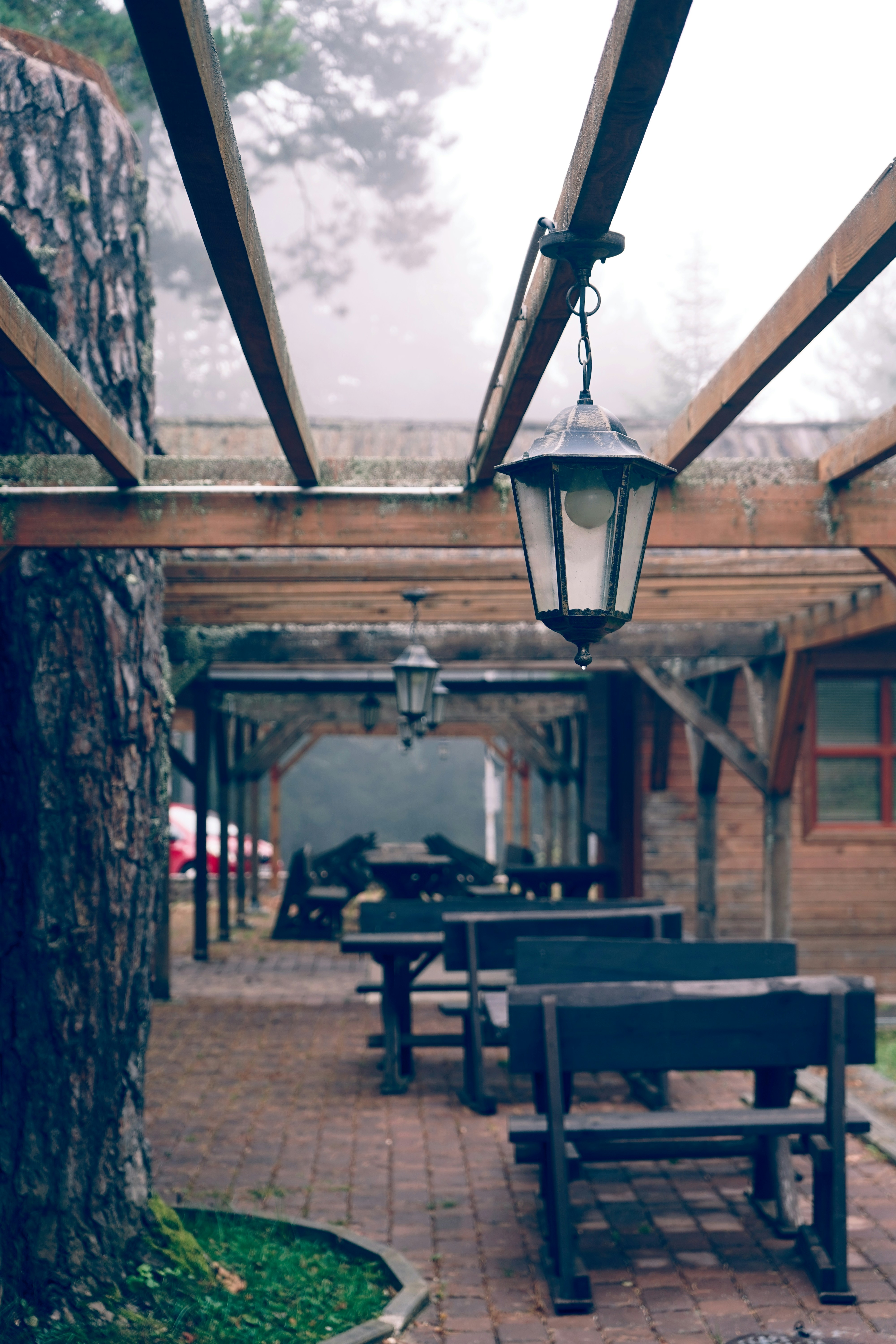 Photo by Nedim T. with Sony Alpha 7 III