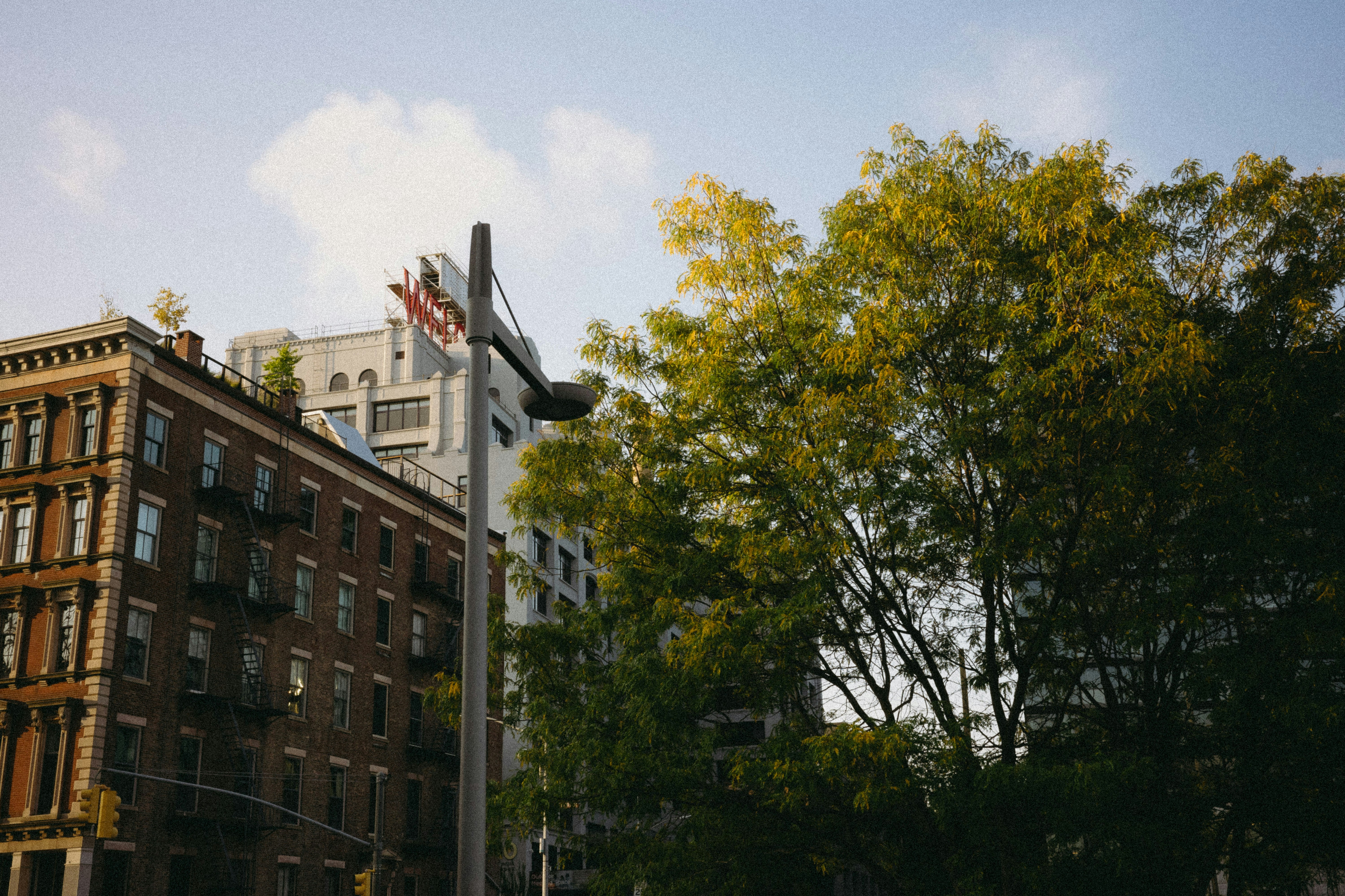 Brick building with fire escapes beside a lush green tree under a clear blue sky.