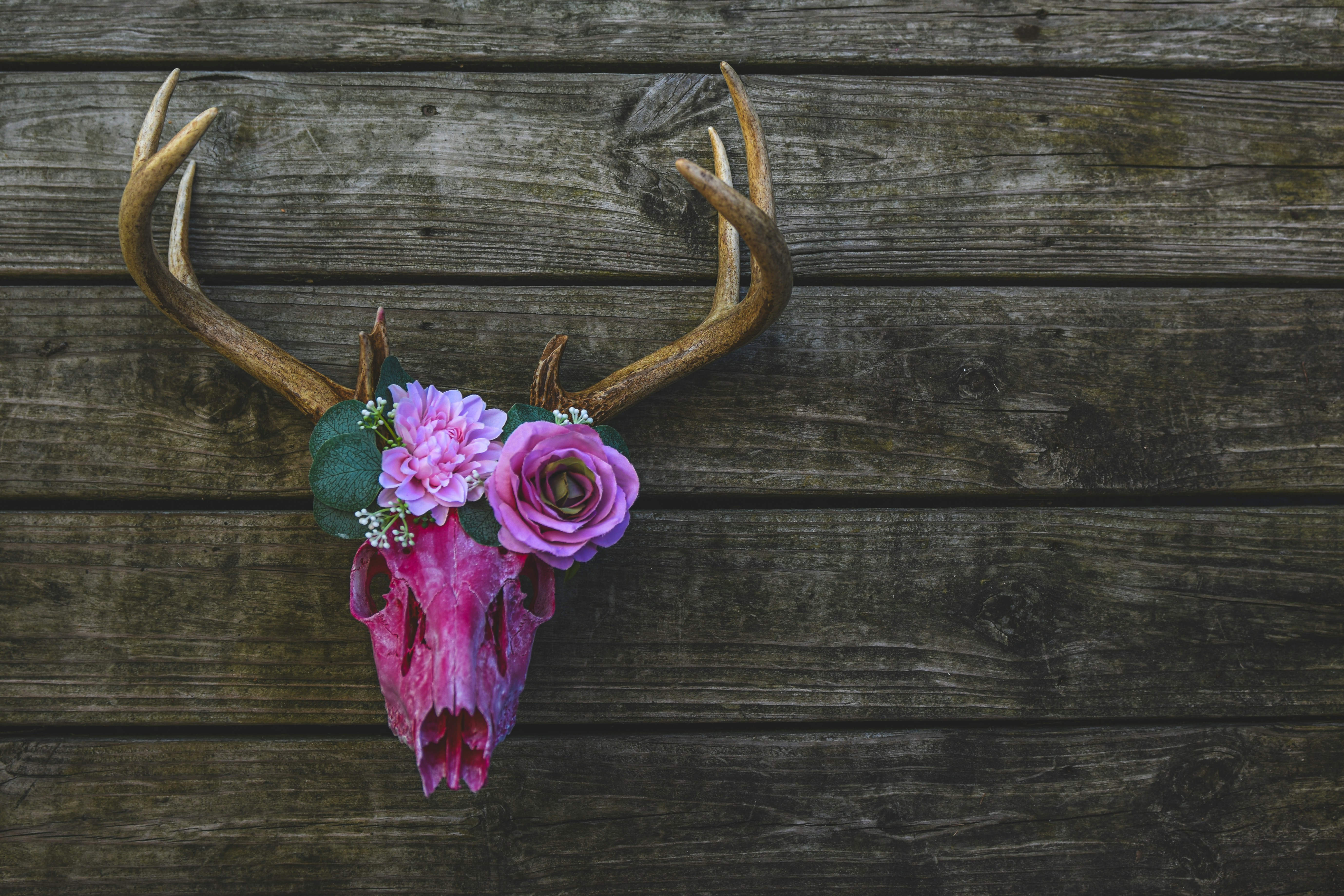 Floral Crown on A Rustic Deer Skull