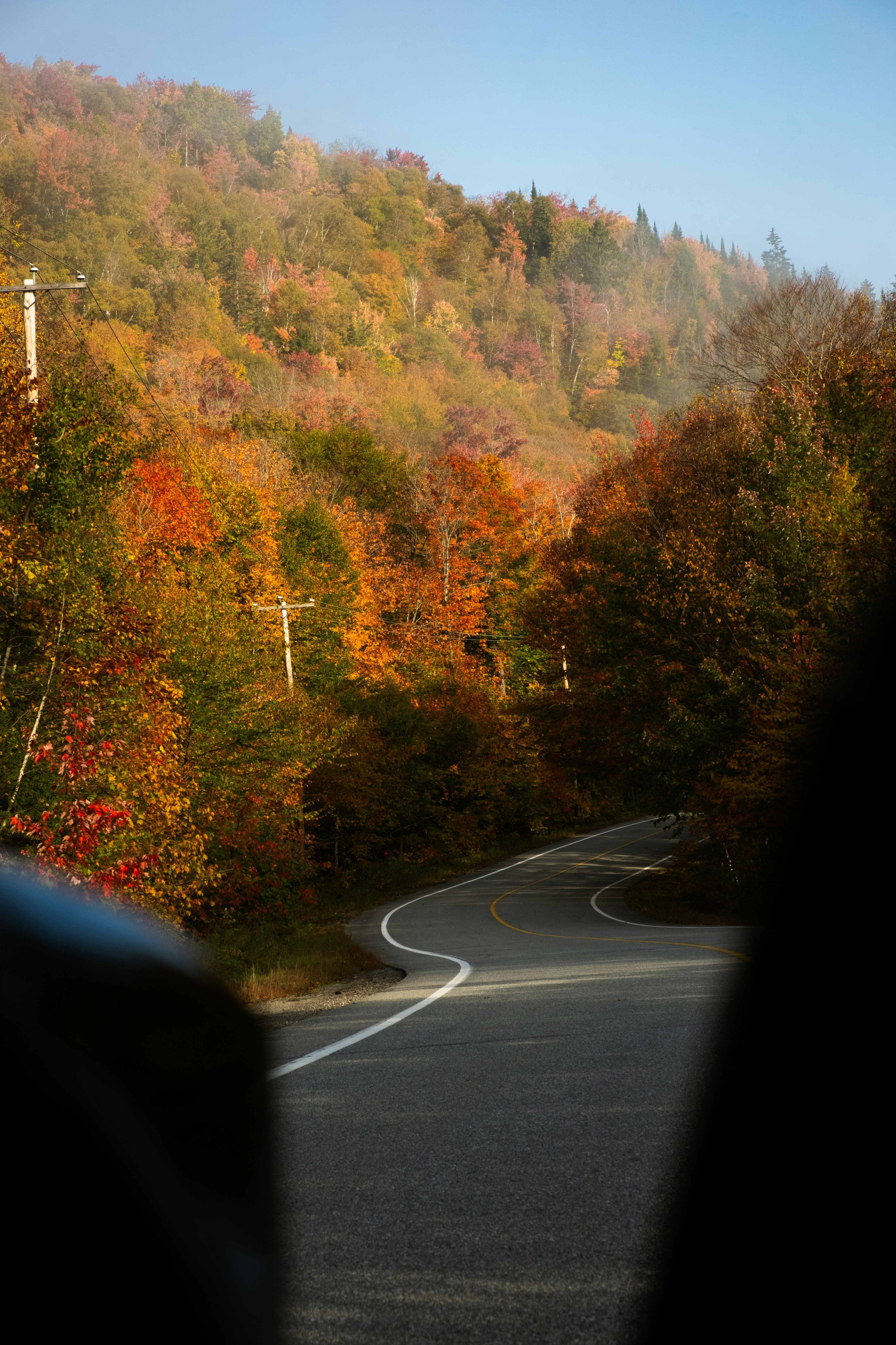 Autumn's Curve: A Quiet Road Winding Through a Flame-Tinted Forest
