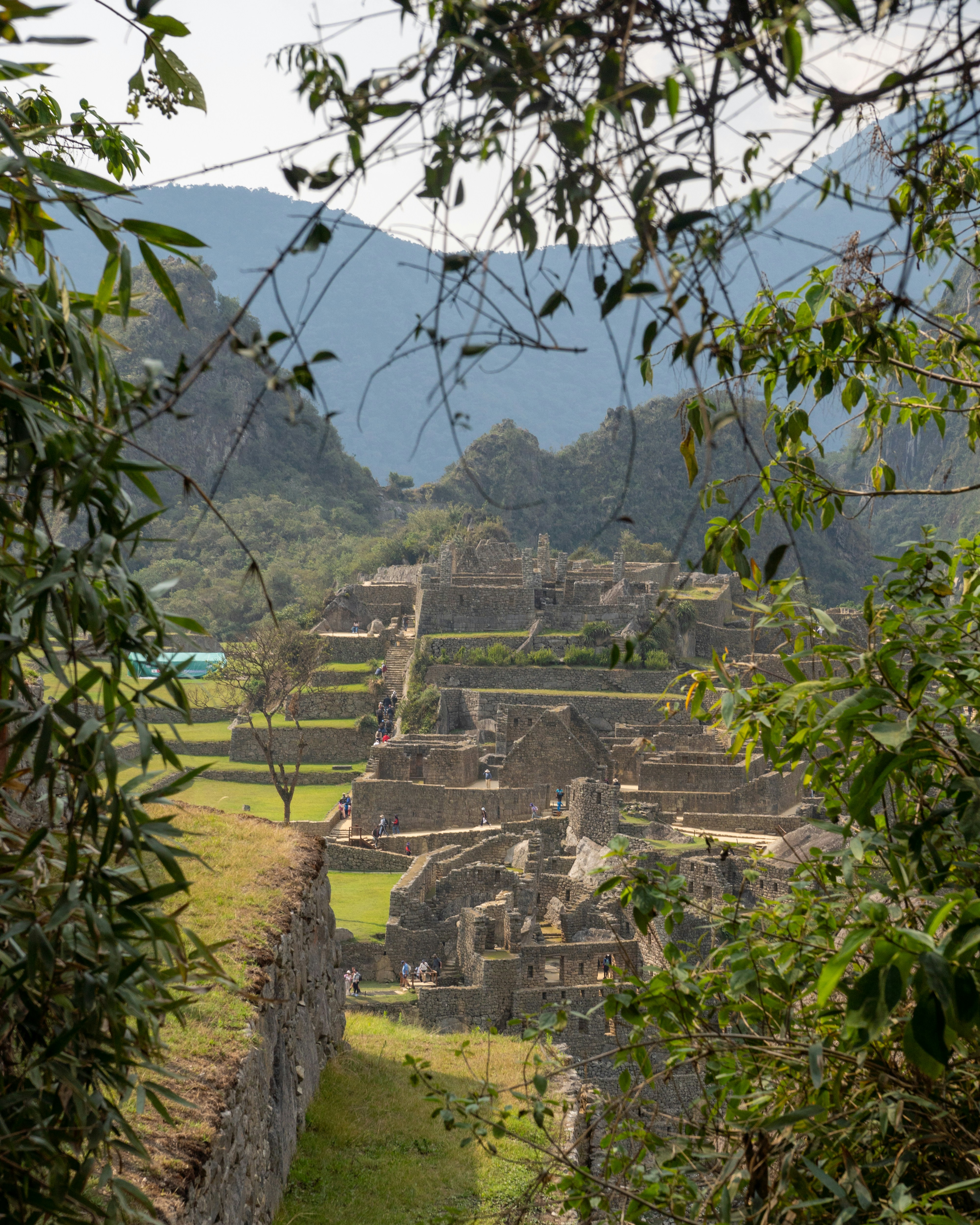 Ruins of an ancient city framed by lush foliage, showcasing terraced structures and visitors exploring the historical site.