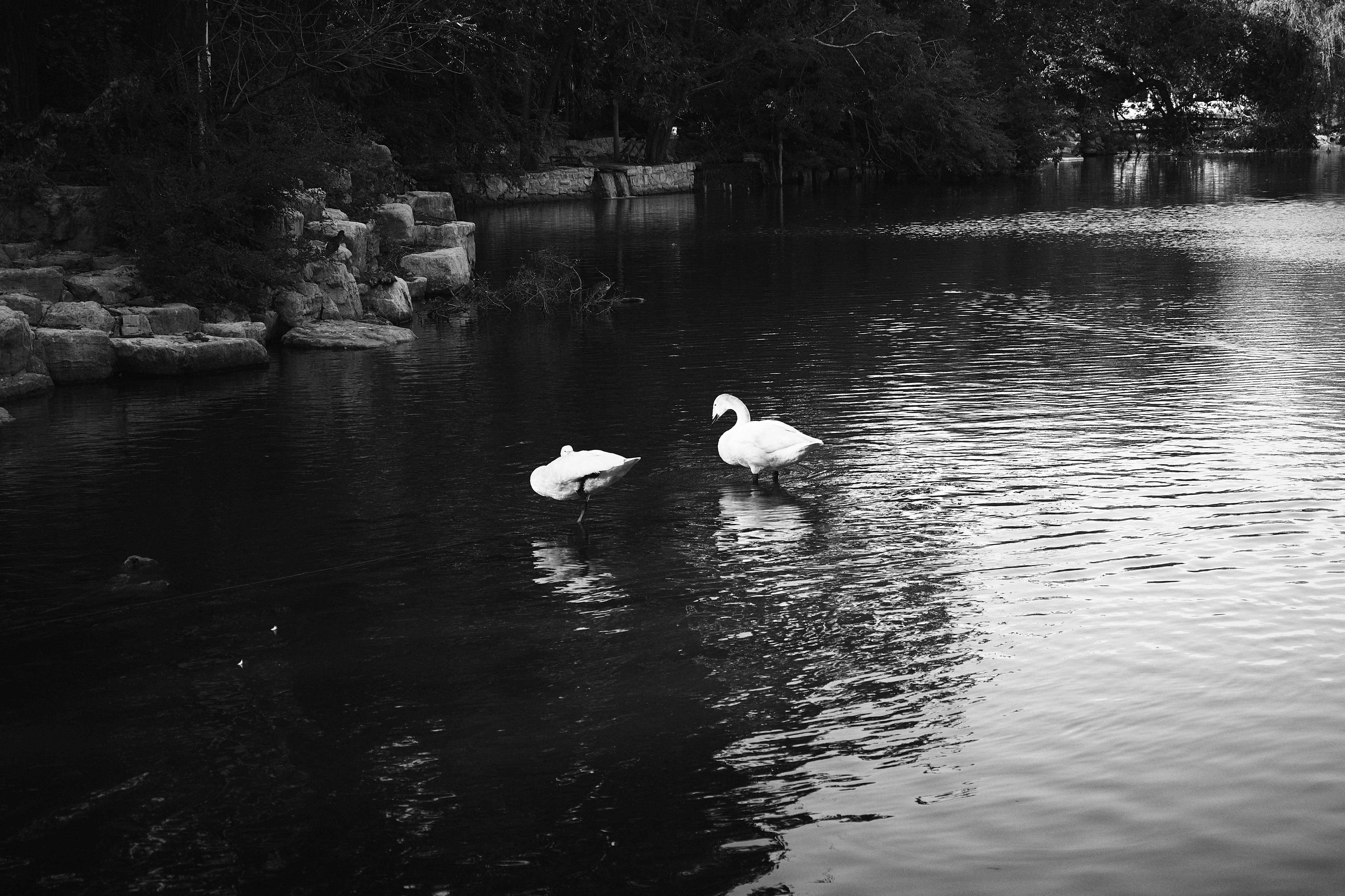 Photo by krzhck with Sigma fp