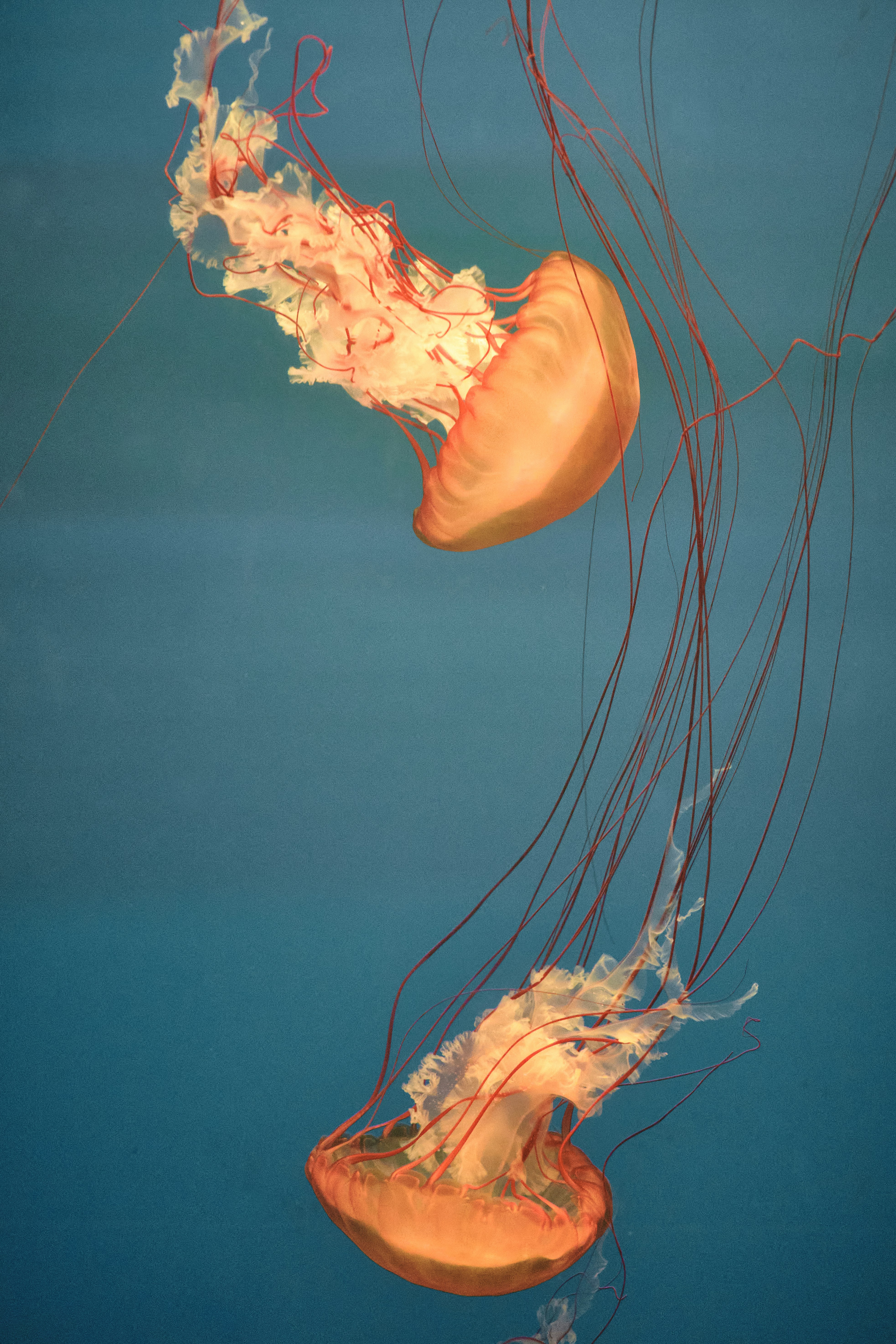 Photo by krzhck with Sigma fp