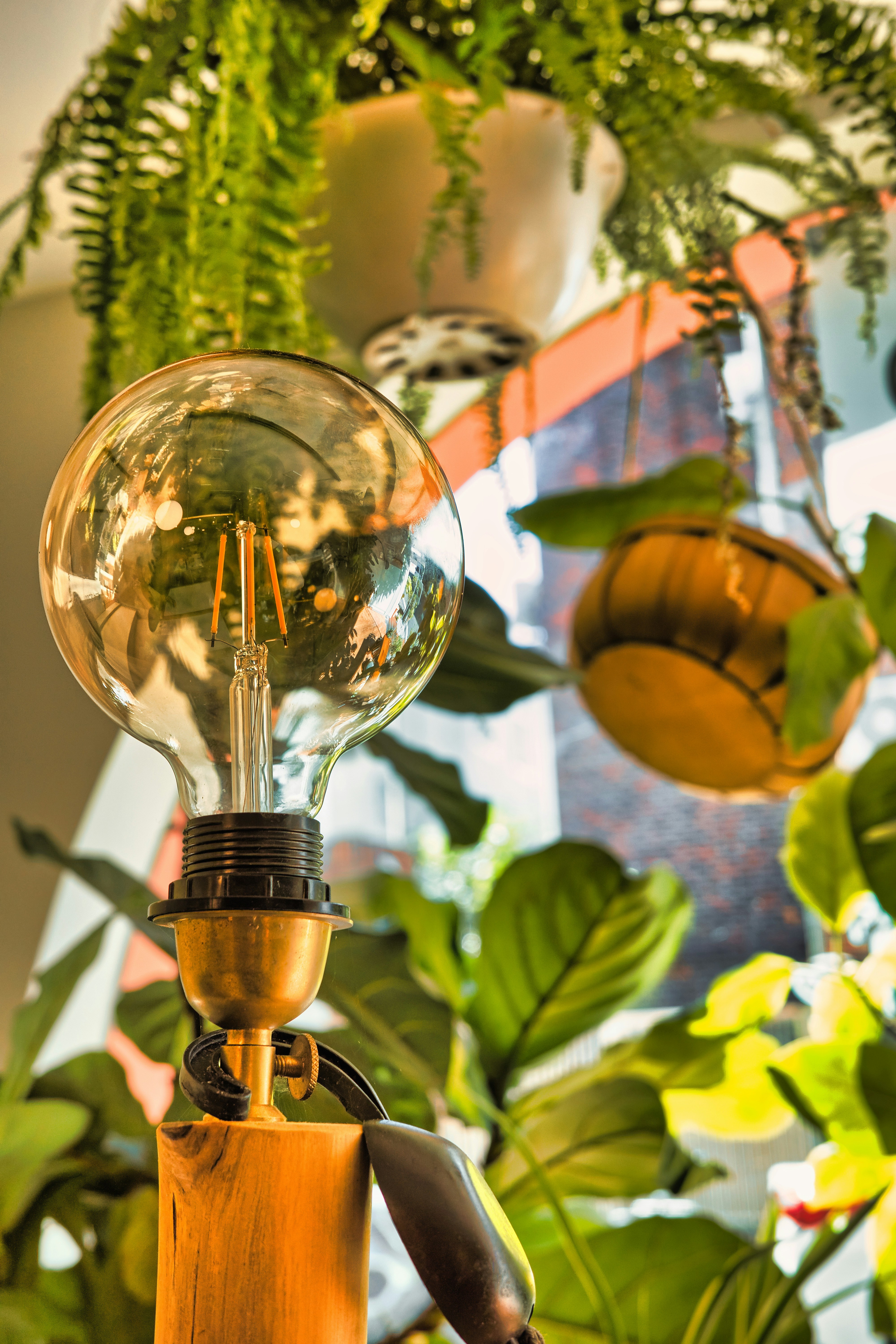 Glowing Globe Amid an Indoor Jungle