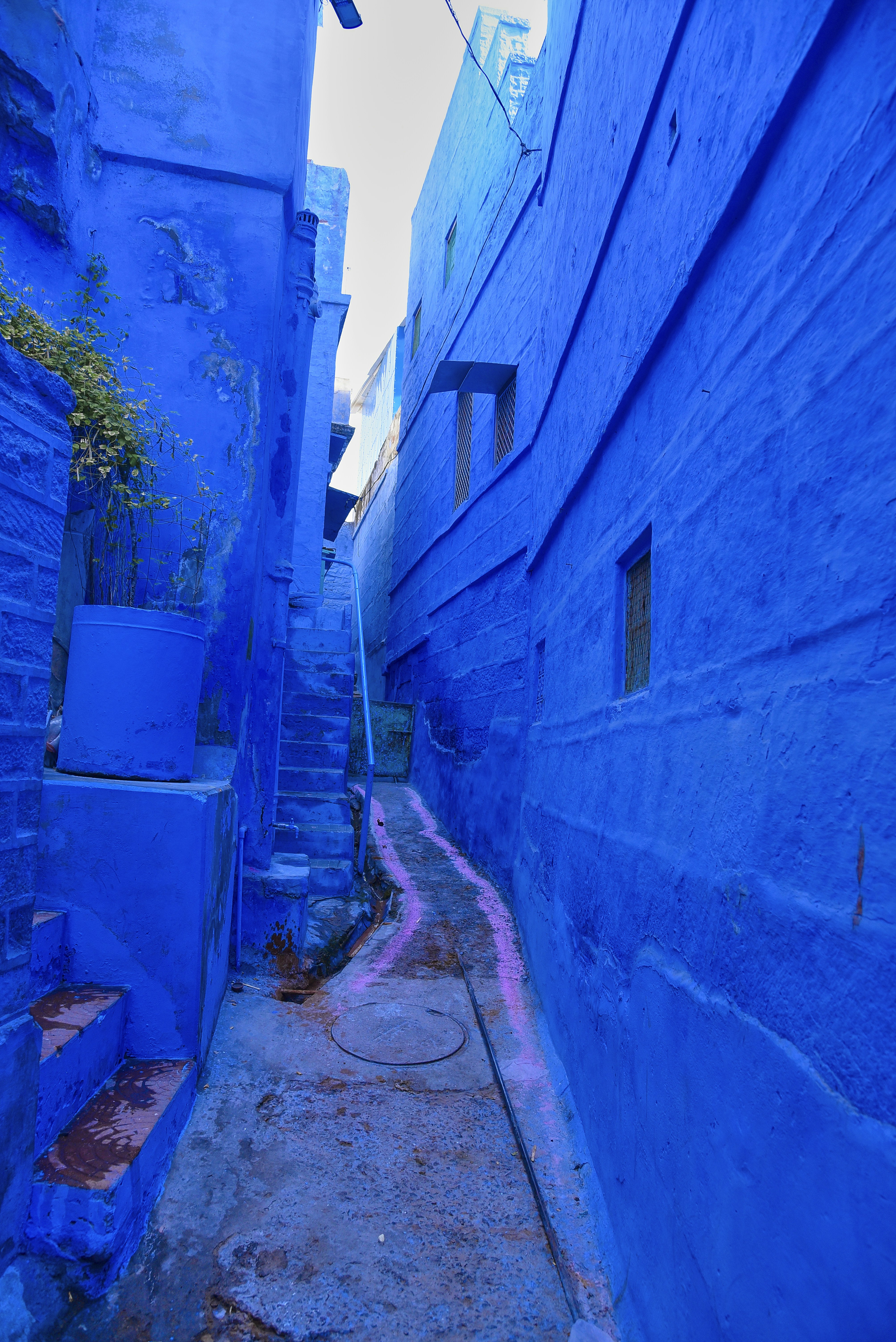 A narrow alley with blue walls and steps photo – Free City Image on ...