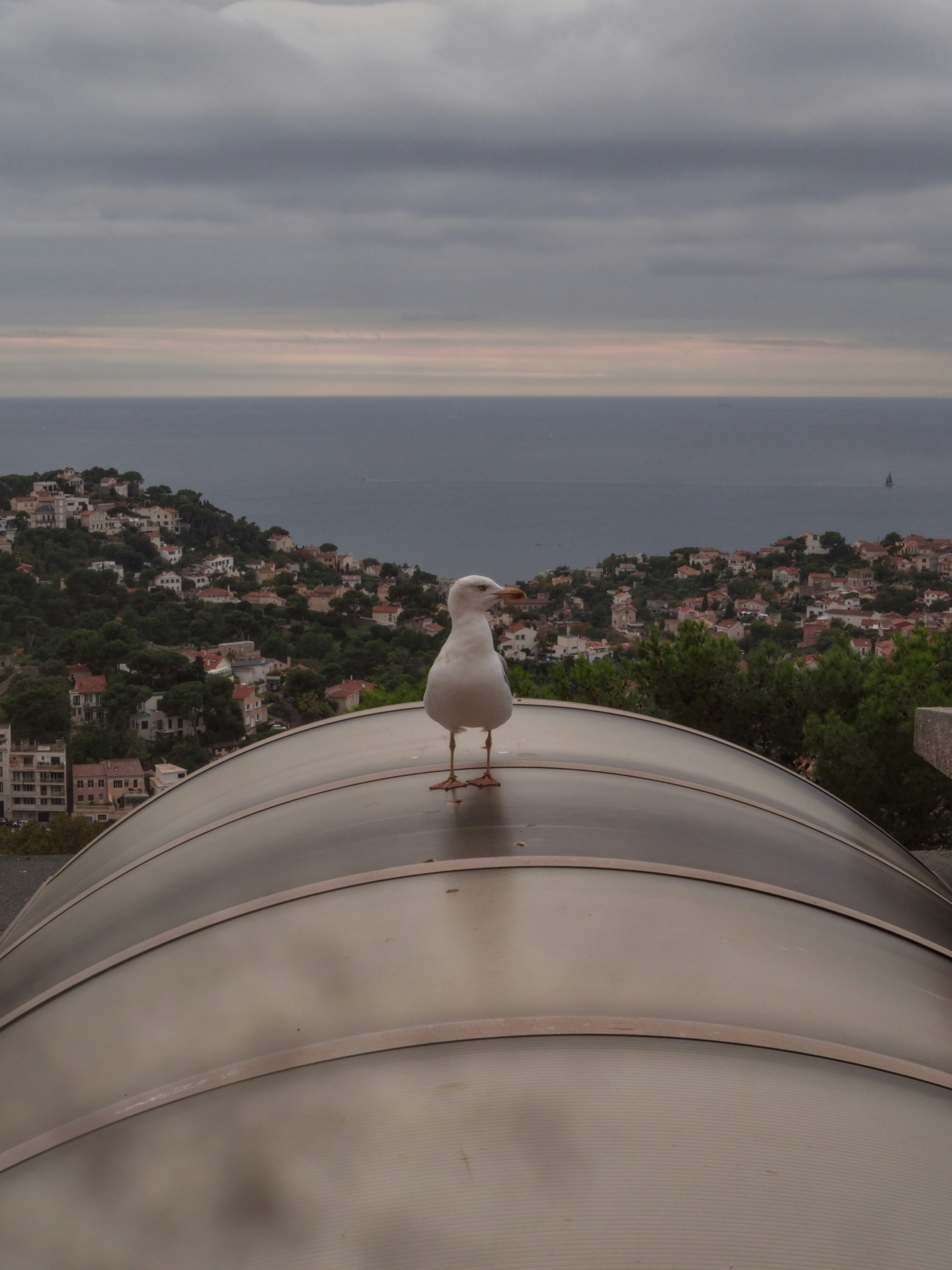Seagull on a Silver Dome Over a Quiet Coastal Town