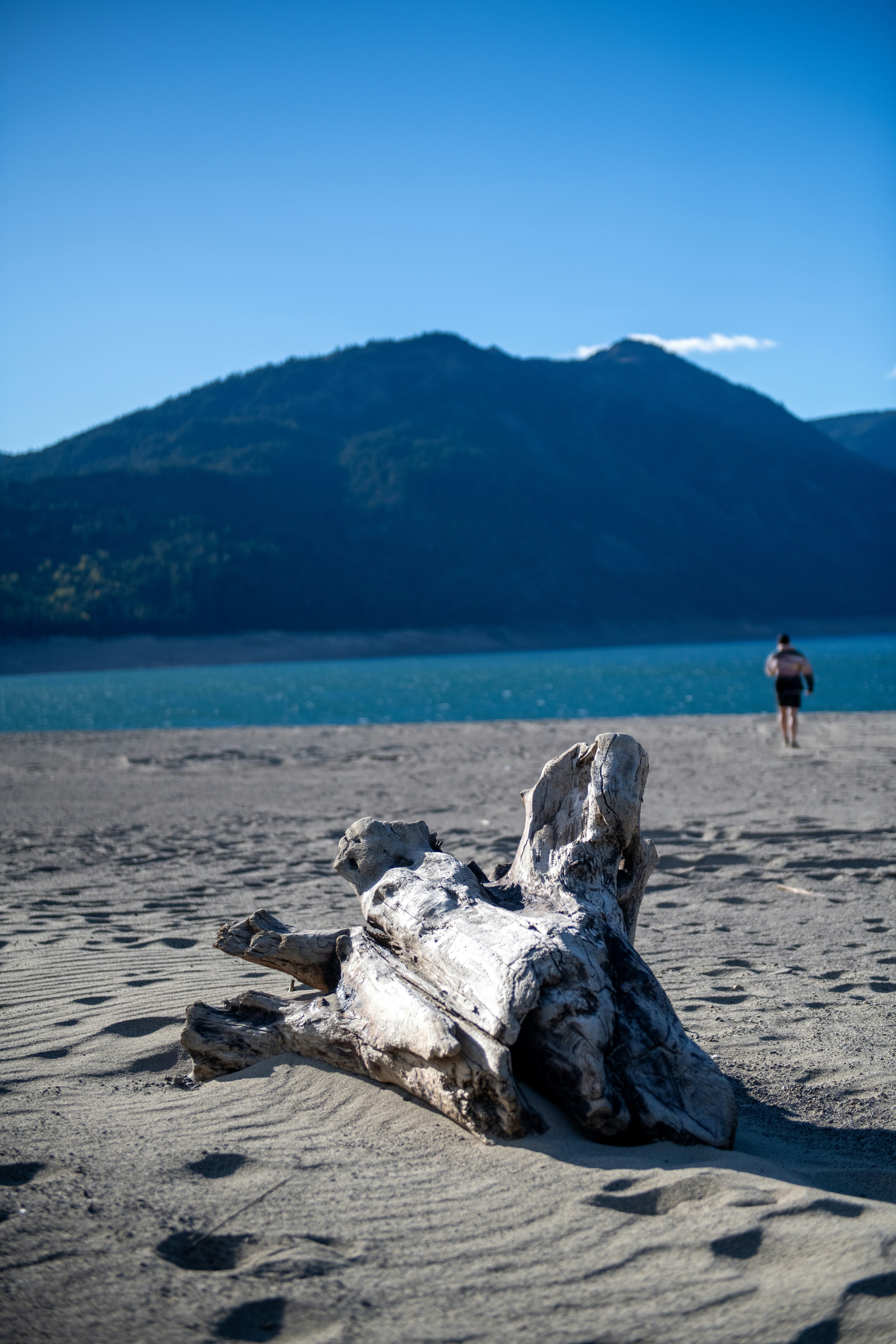 Driftwood Sentinel on a Quiet Shore, Framed by a Looming Mountain Backdrop