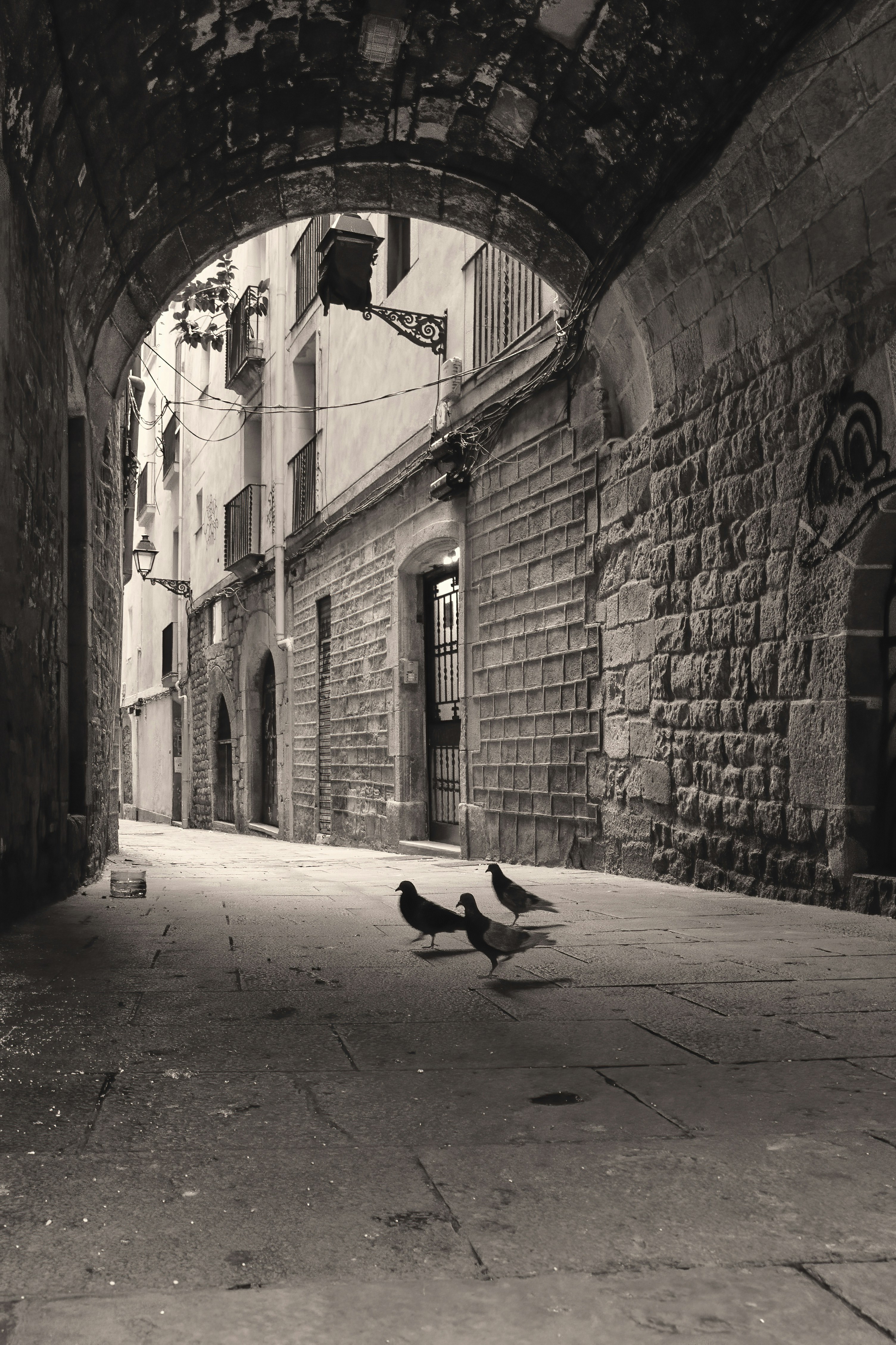 Archway Silence: Pigeons in a Timeworn Lane