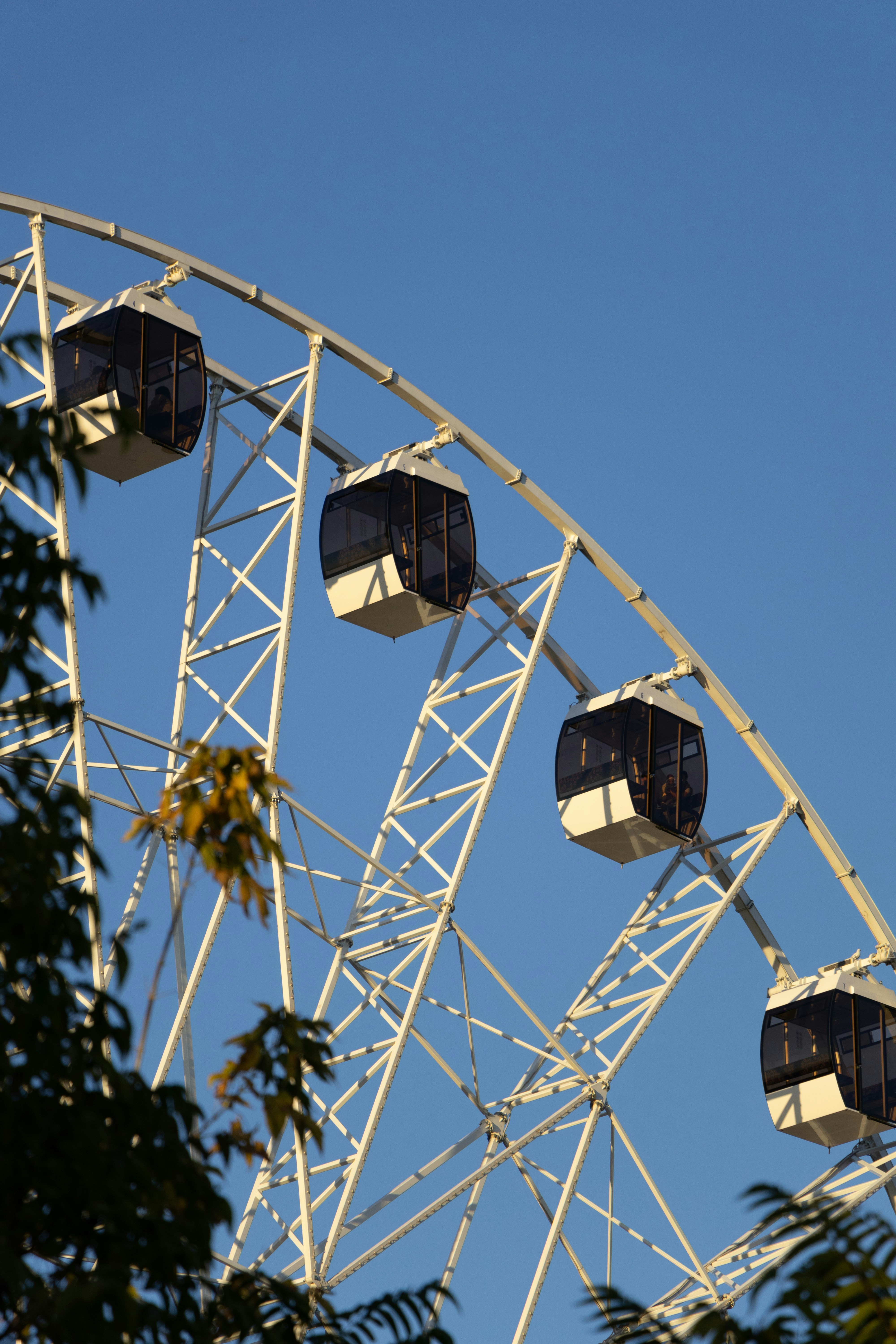 Photo by Danila Rassokhin with Canon EOS R50