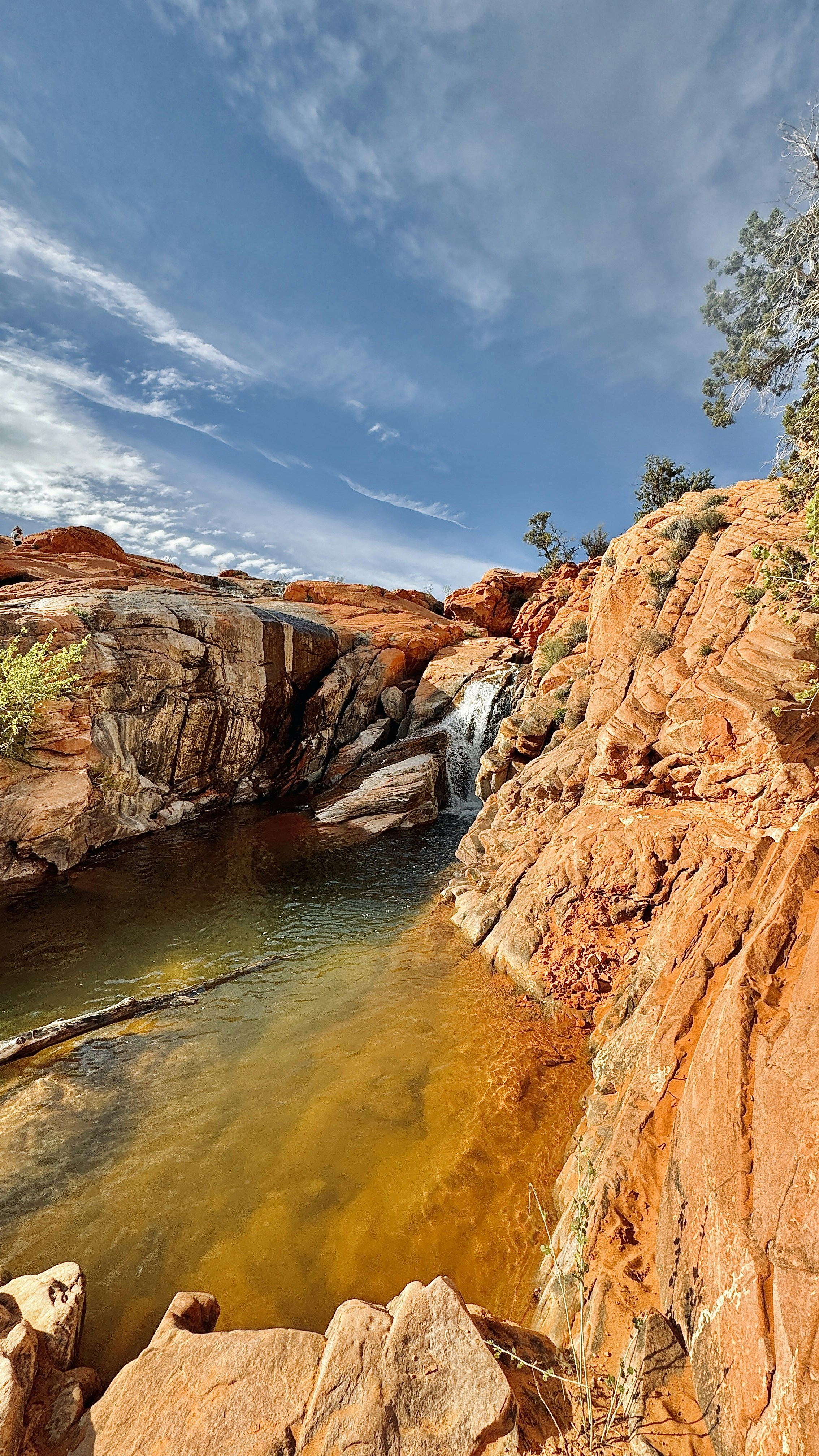 Mel Elías (@cuartodeiibra) | Unsplash Photo Community