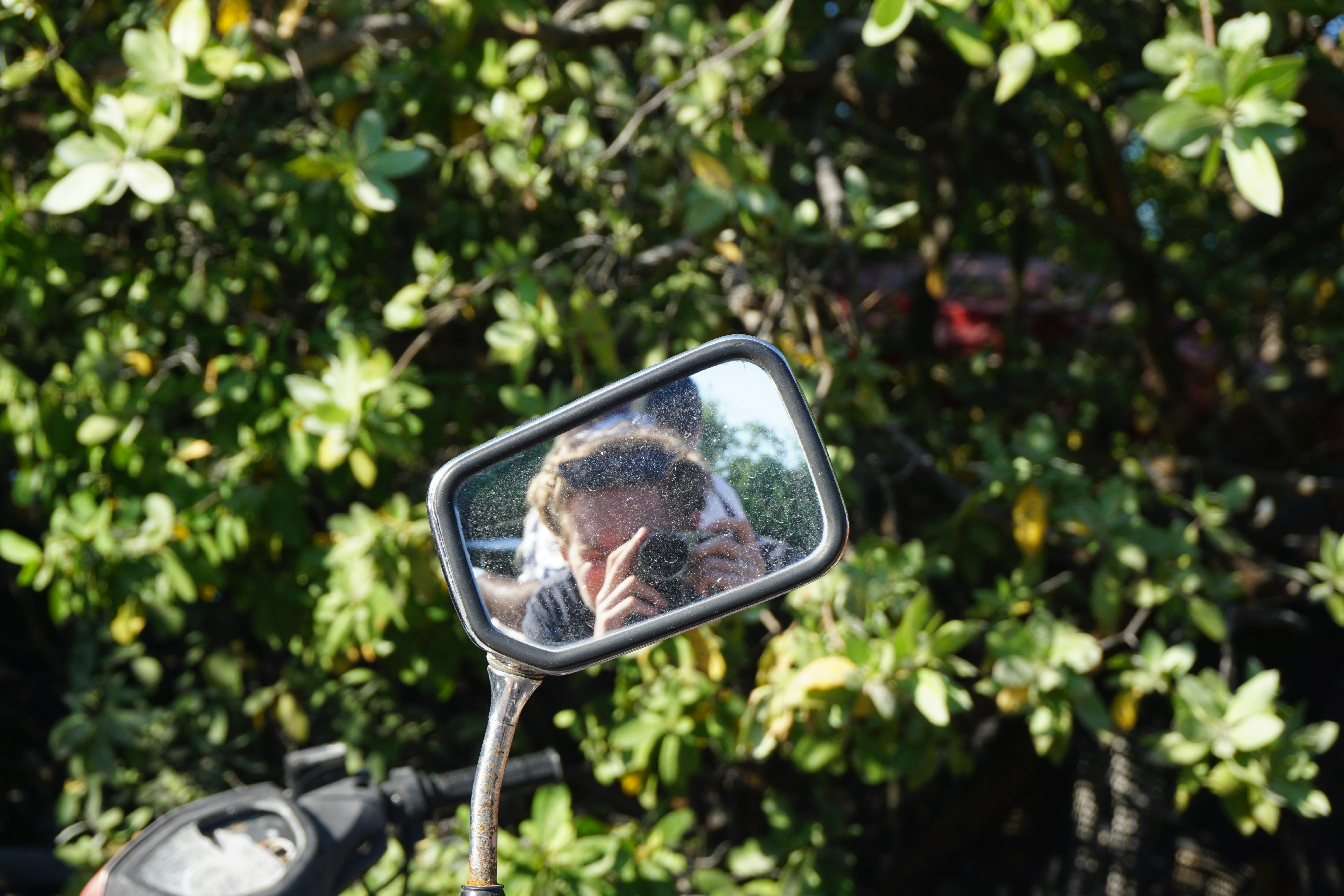 Motorcycle mirror reflecting a person surrounded by lush greenery.