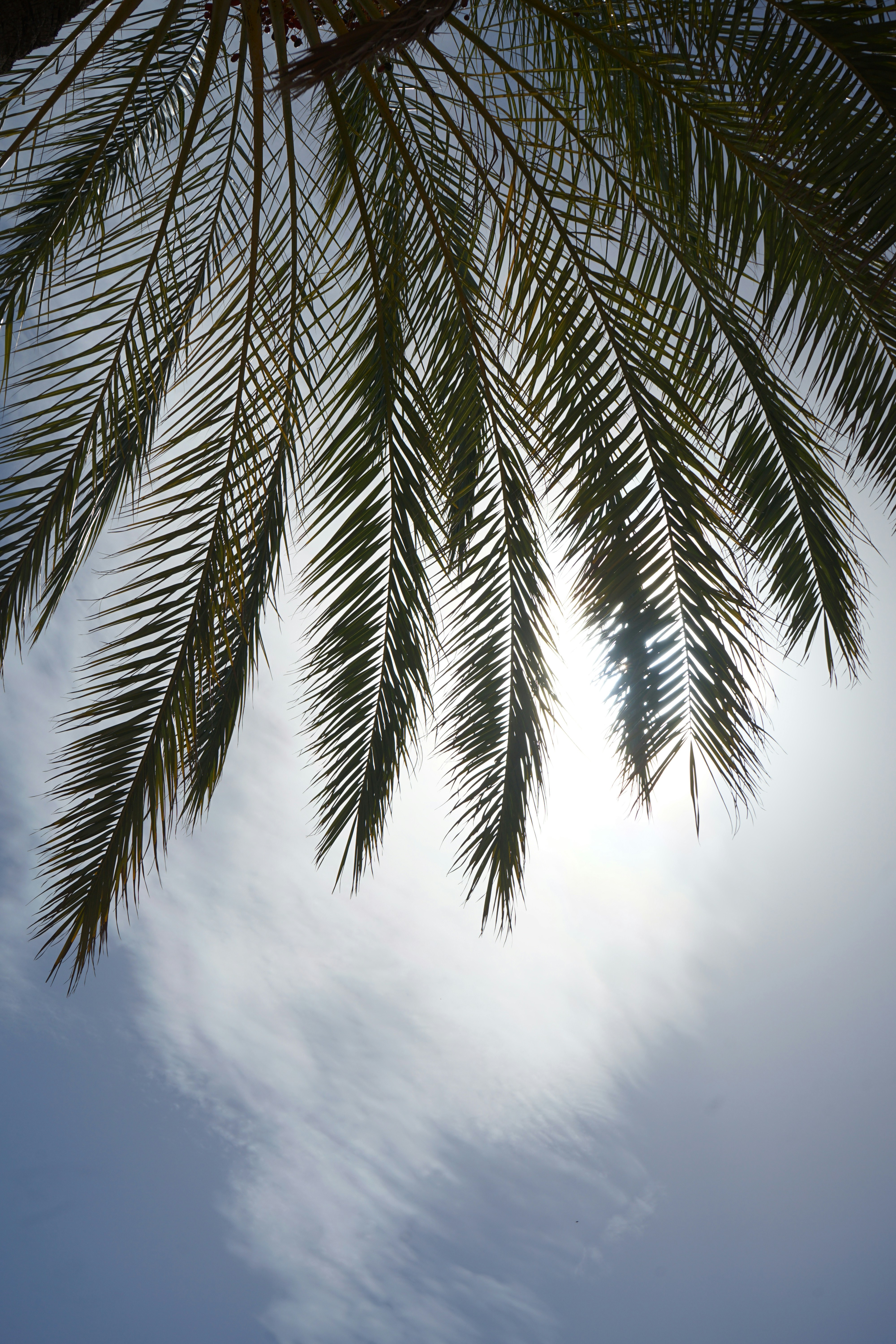 Agia Marina, Crete, GreeceTadeusz Zachwieja