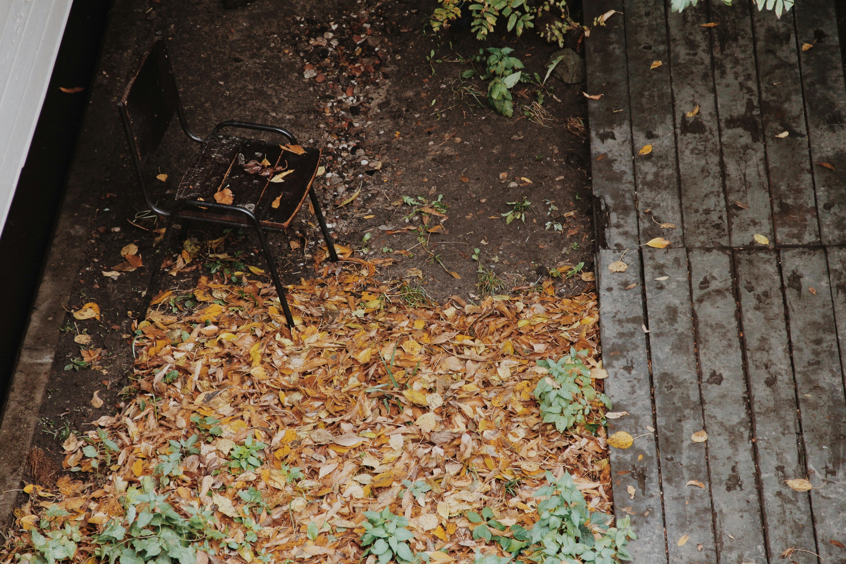 Amber Drift at the Threshold: Leaves, Deck Planks, and a Lone Metal Chair