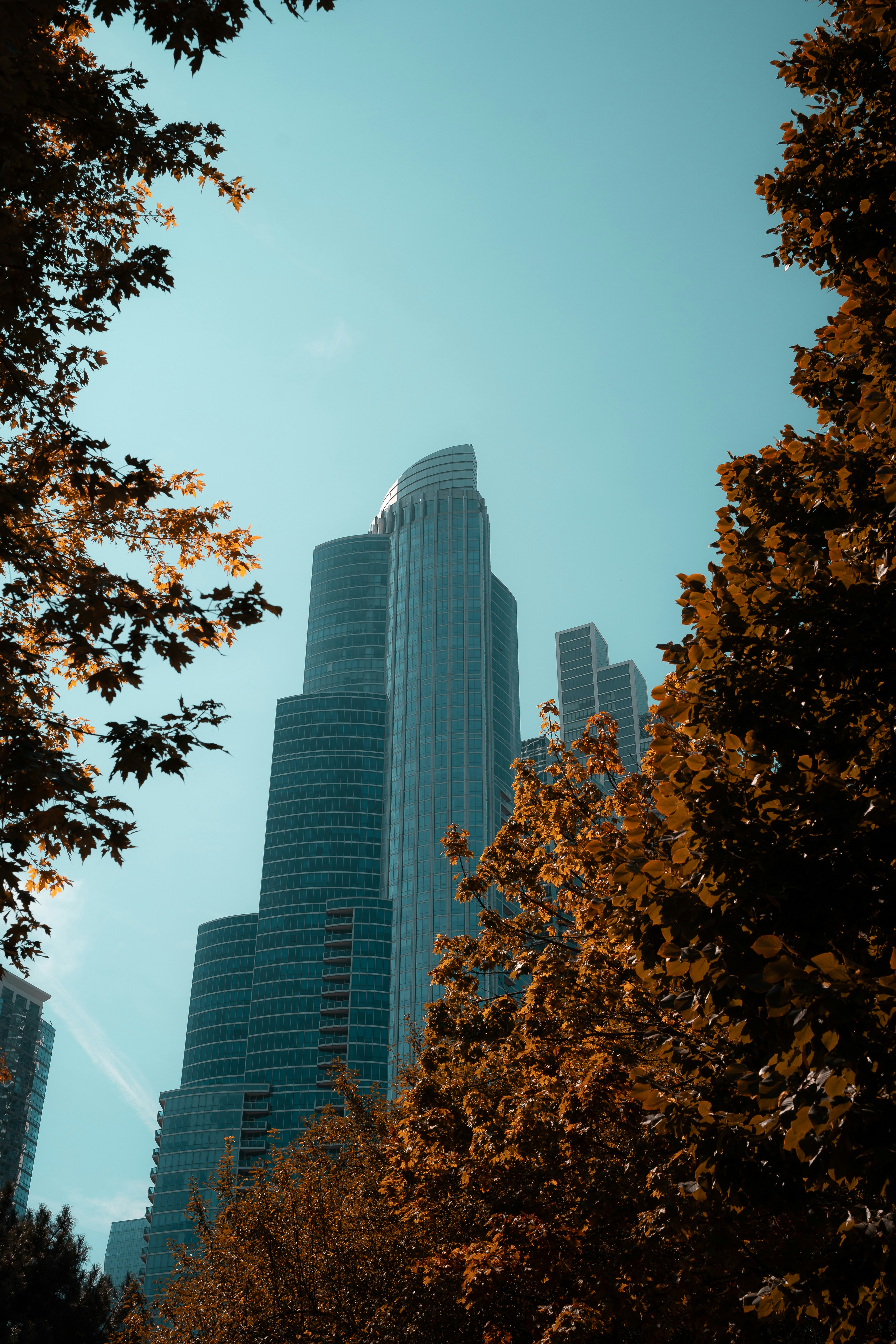 A tall building towering over a forest filled with trees photo – Free ...