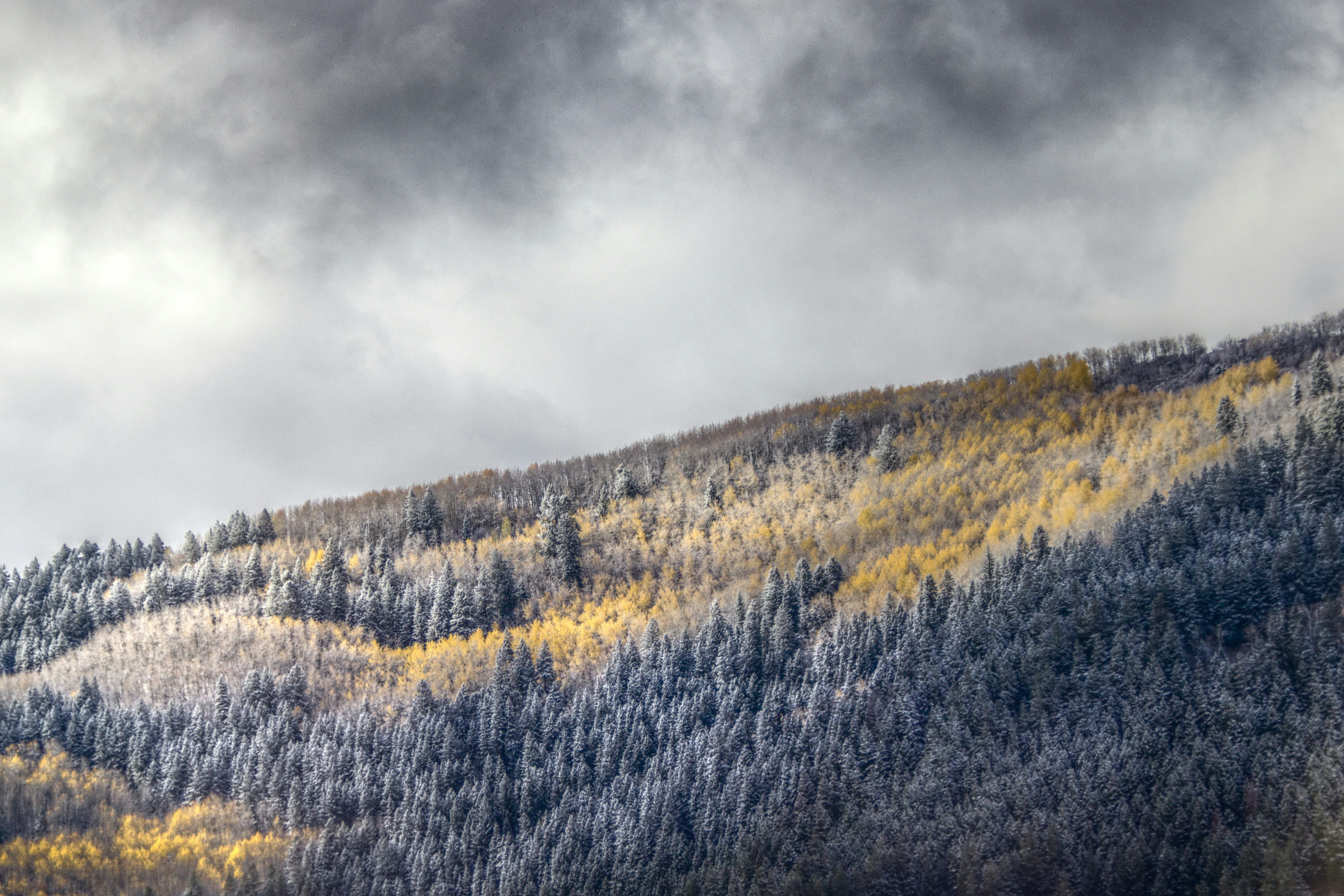 autumn scene on a mountain