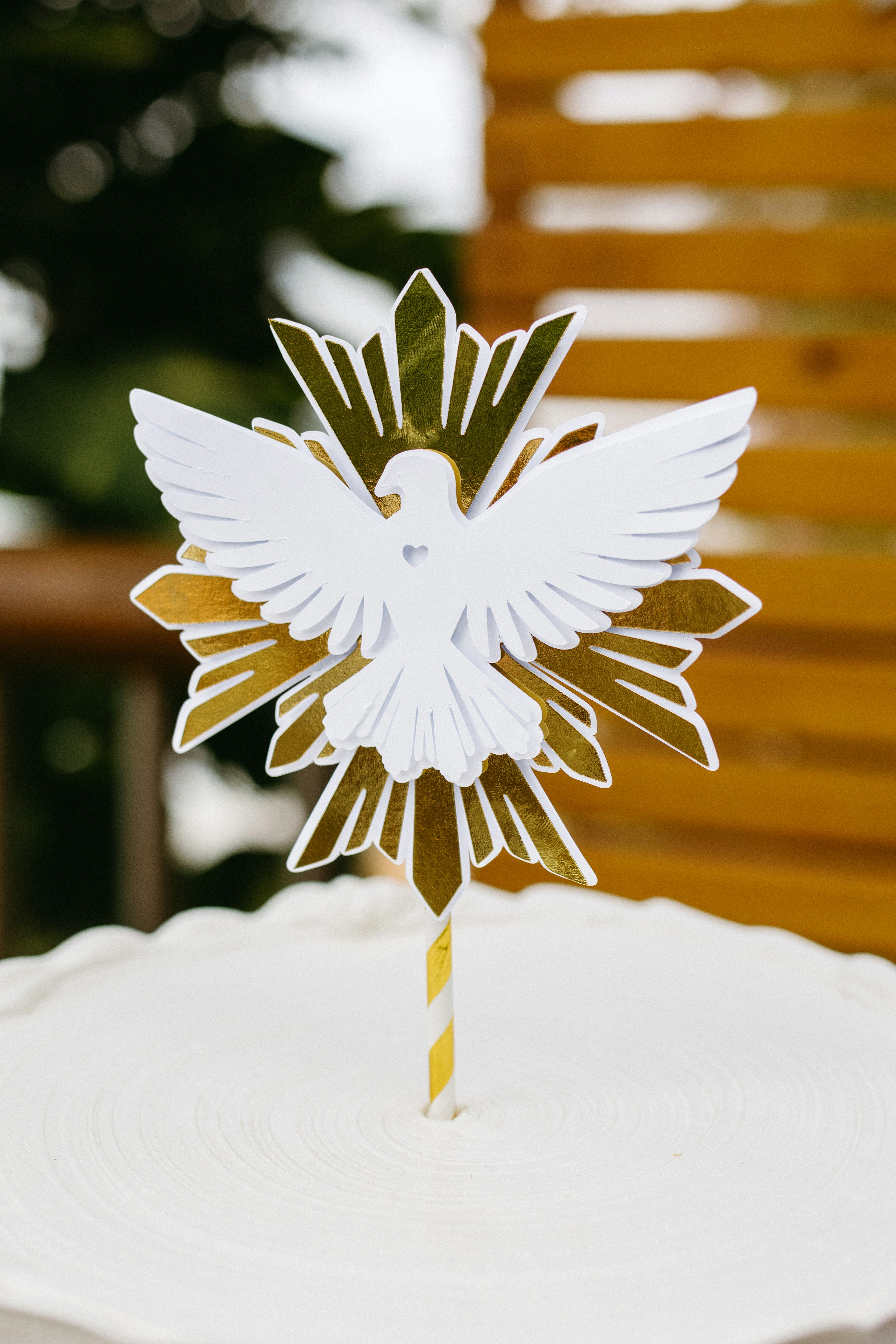 White Dove Silhouette Anchored by a Golden Starburst Centerpiece