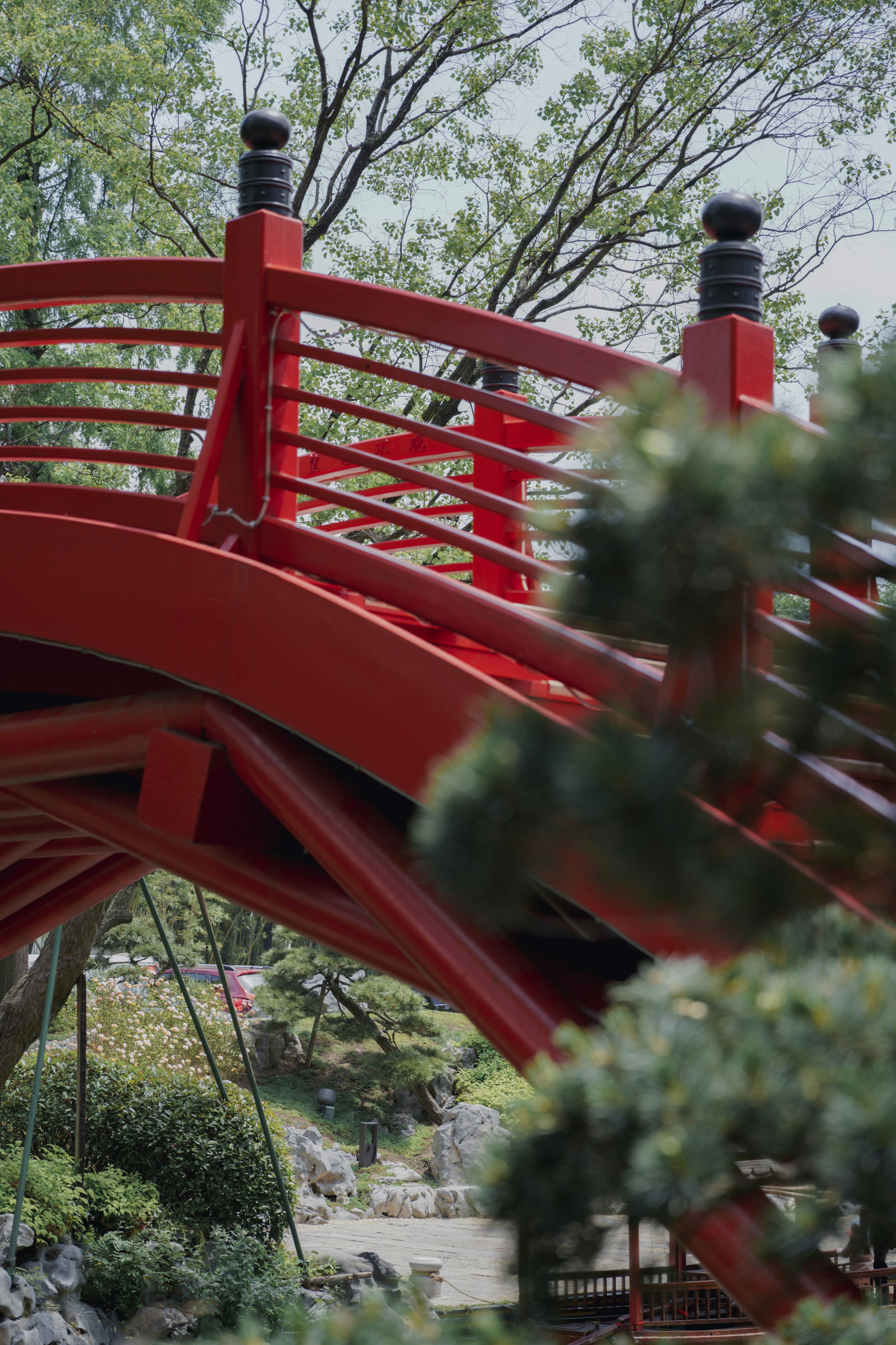 Crimson Arc: The Red Bridge Framed by Emerging Green