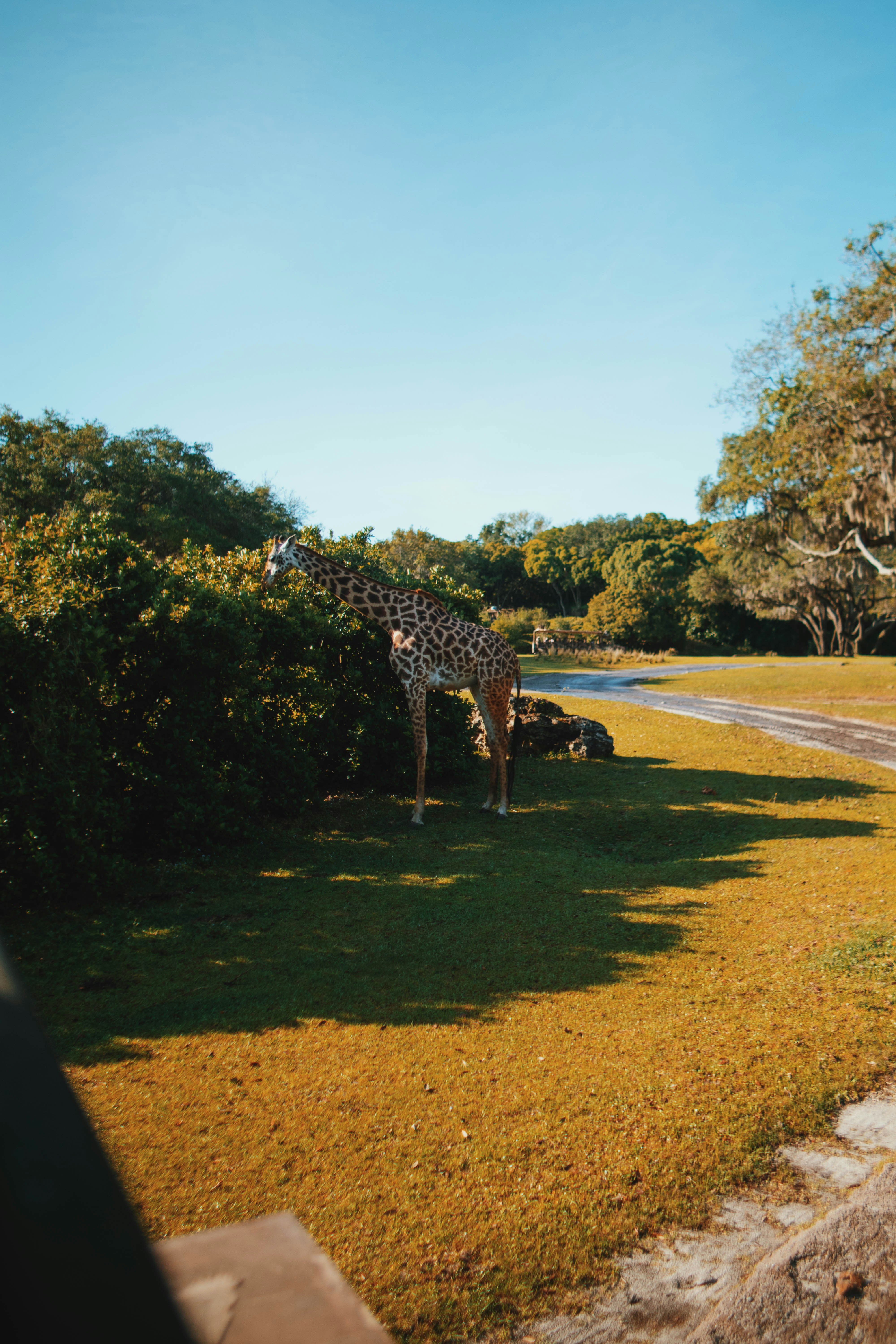 Photo by Michael Ali with Canon EOS M6