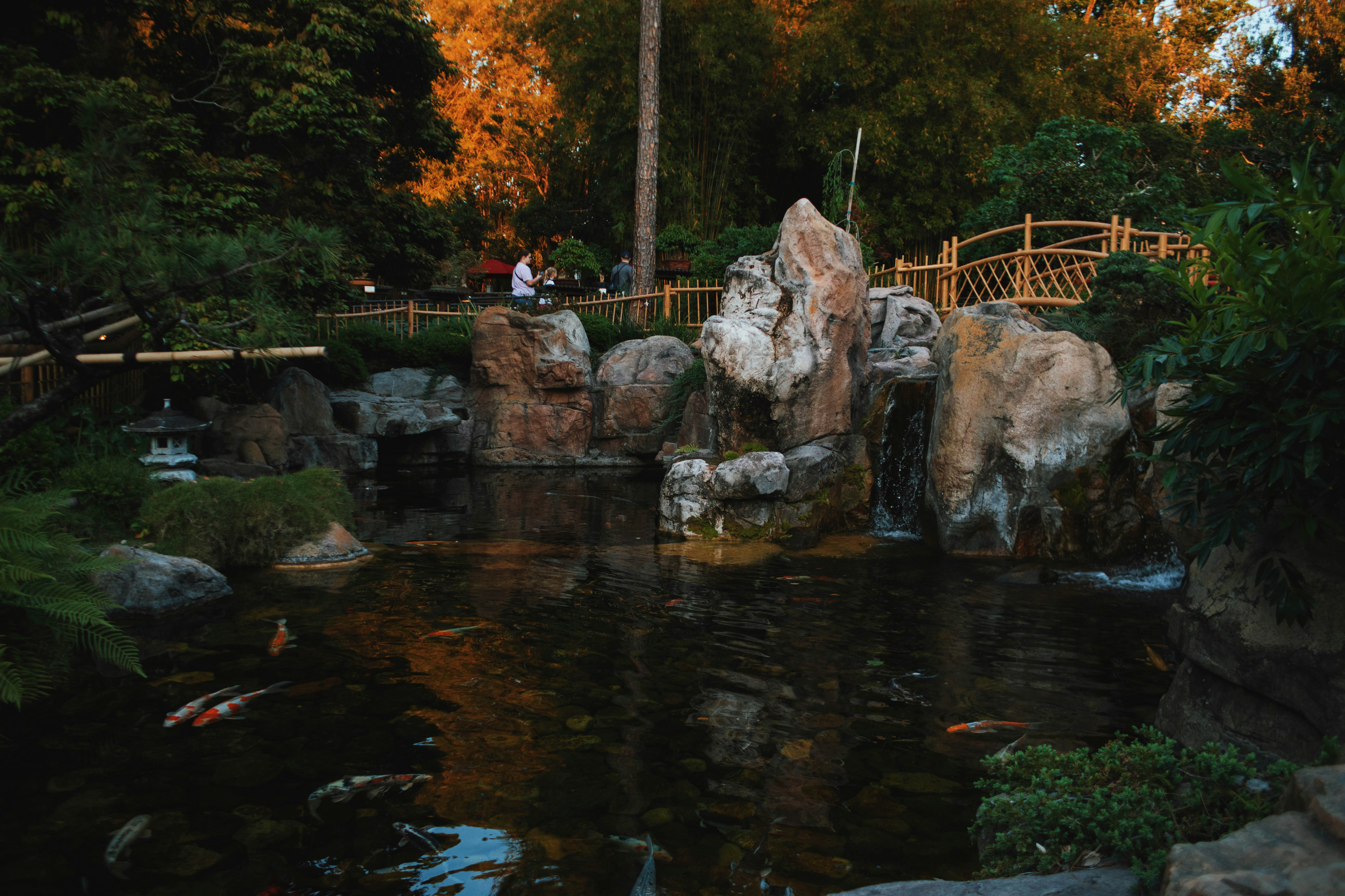 Autumn Quiet: Koi Swirl Beneath a Stone Garden Bridge