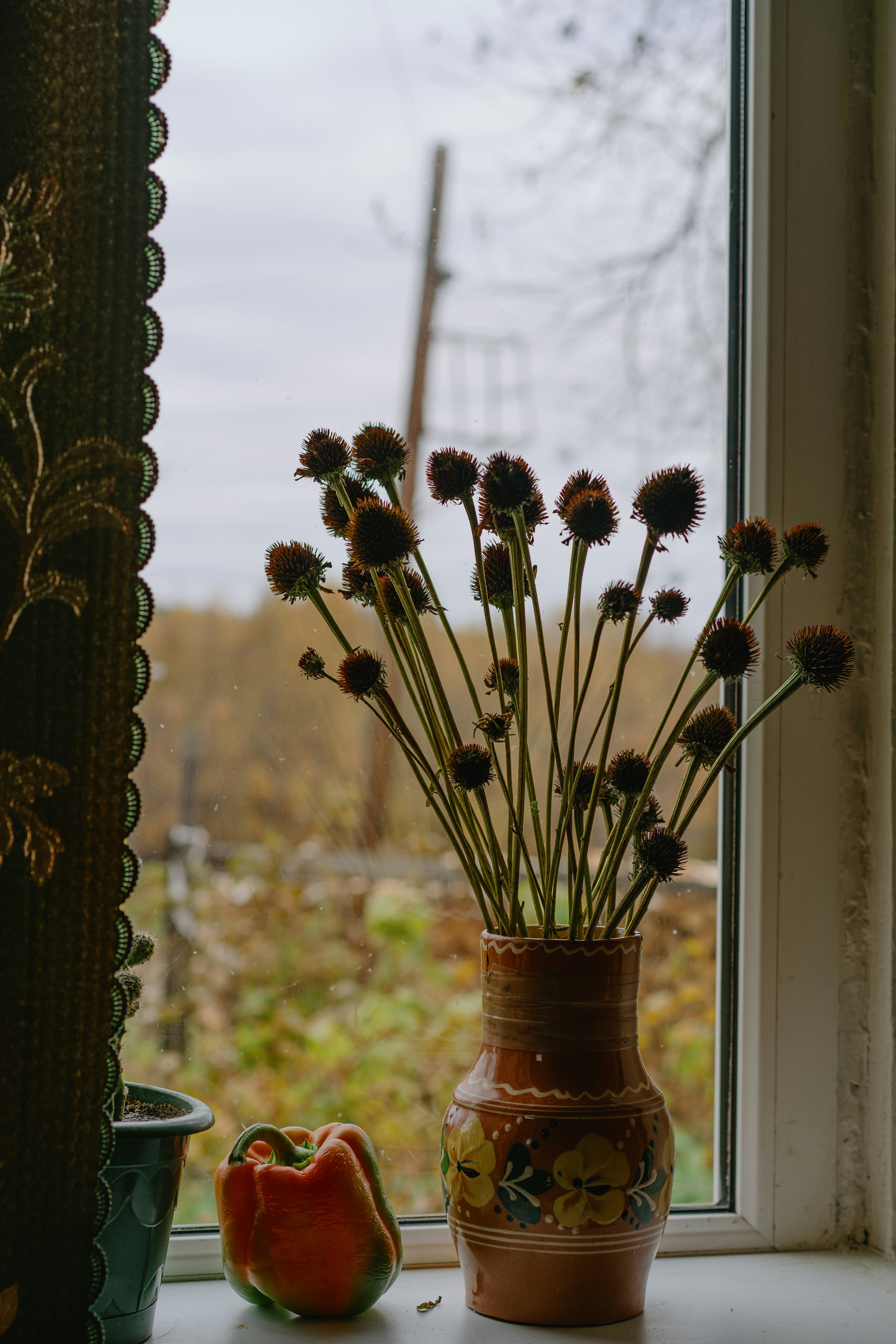 Allium Seed Heads in a Painted Vase Framing a Quiet Window Scene