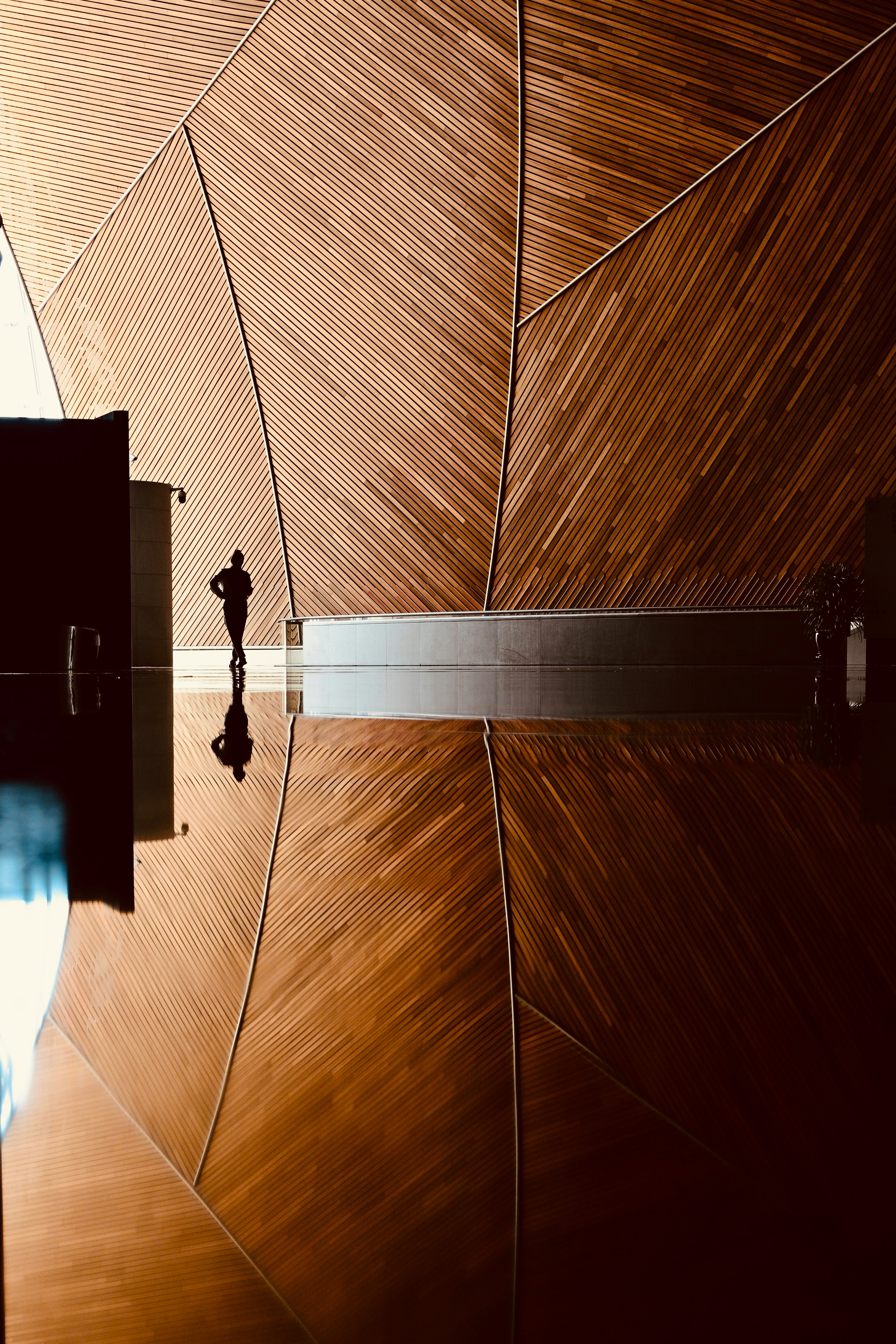 A reflection of a person standing under an umbrella photo – Free ...