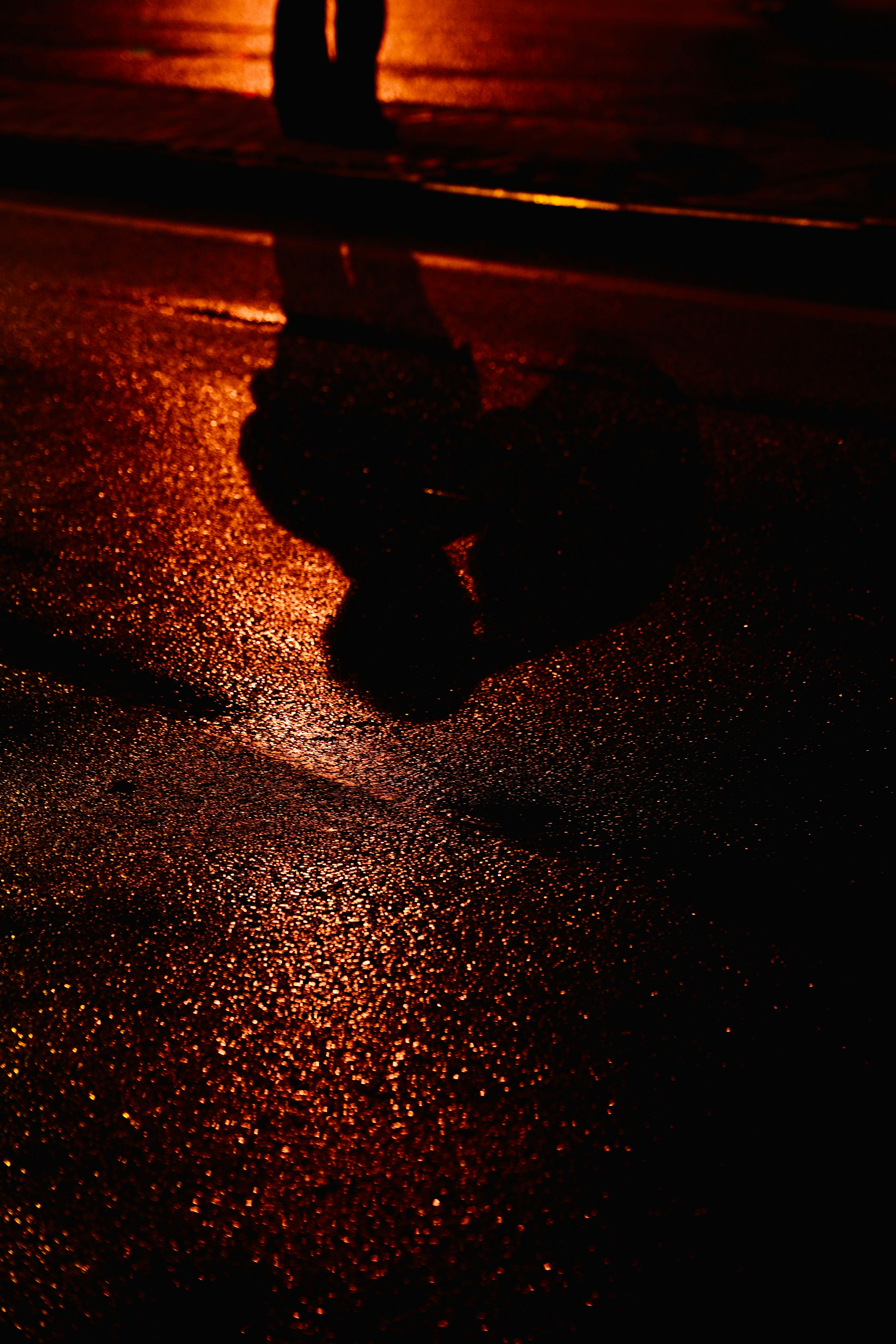 Photo by Victoria Wang with Nikon Z8