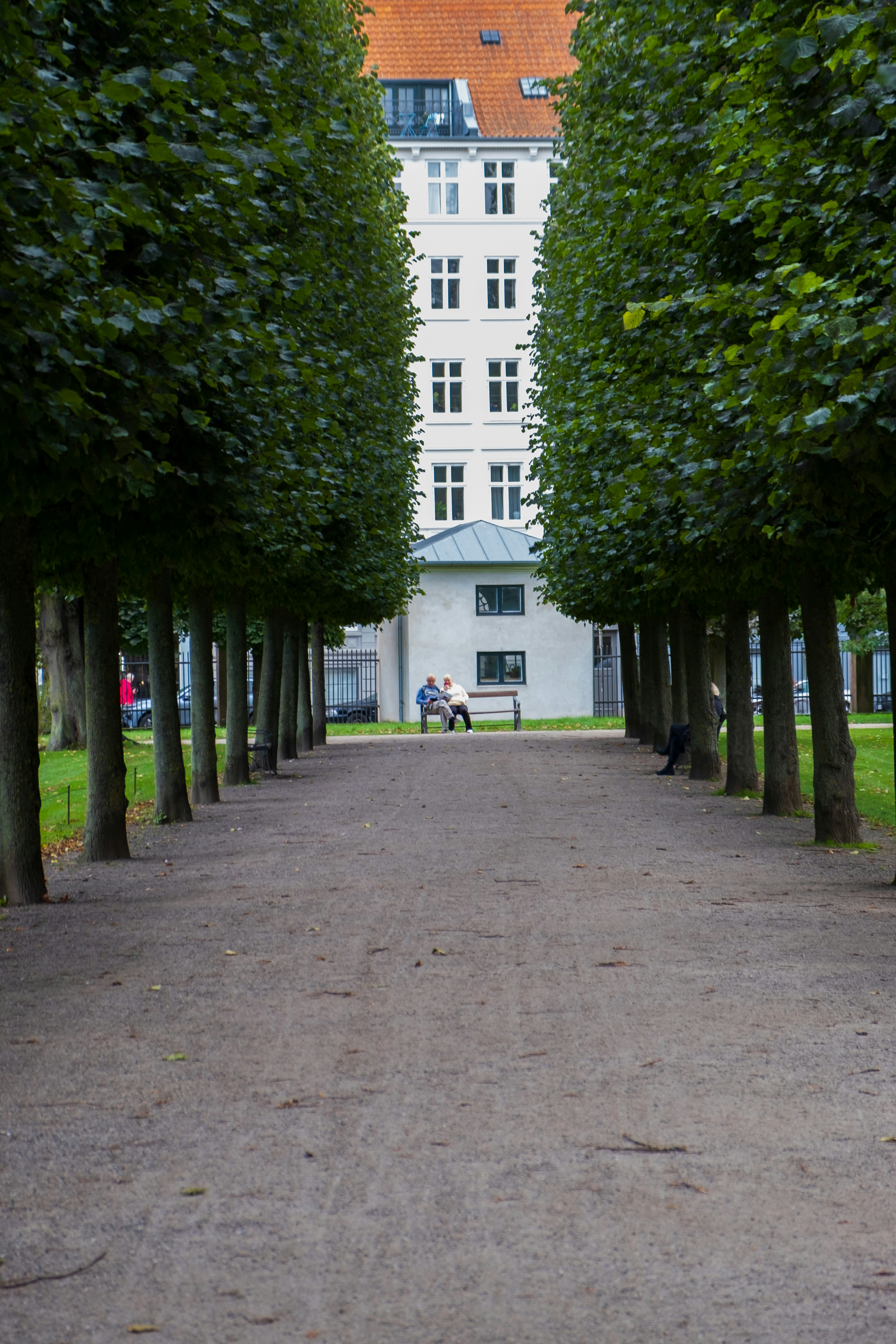 Photo by Husam Harrasi with Fujifilm X-T30 II