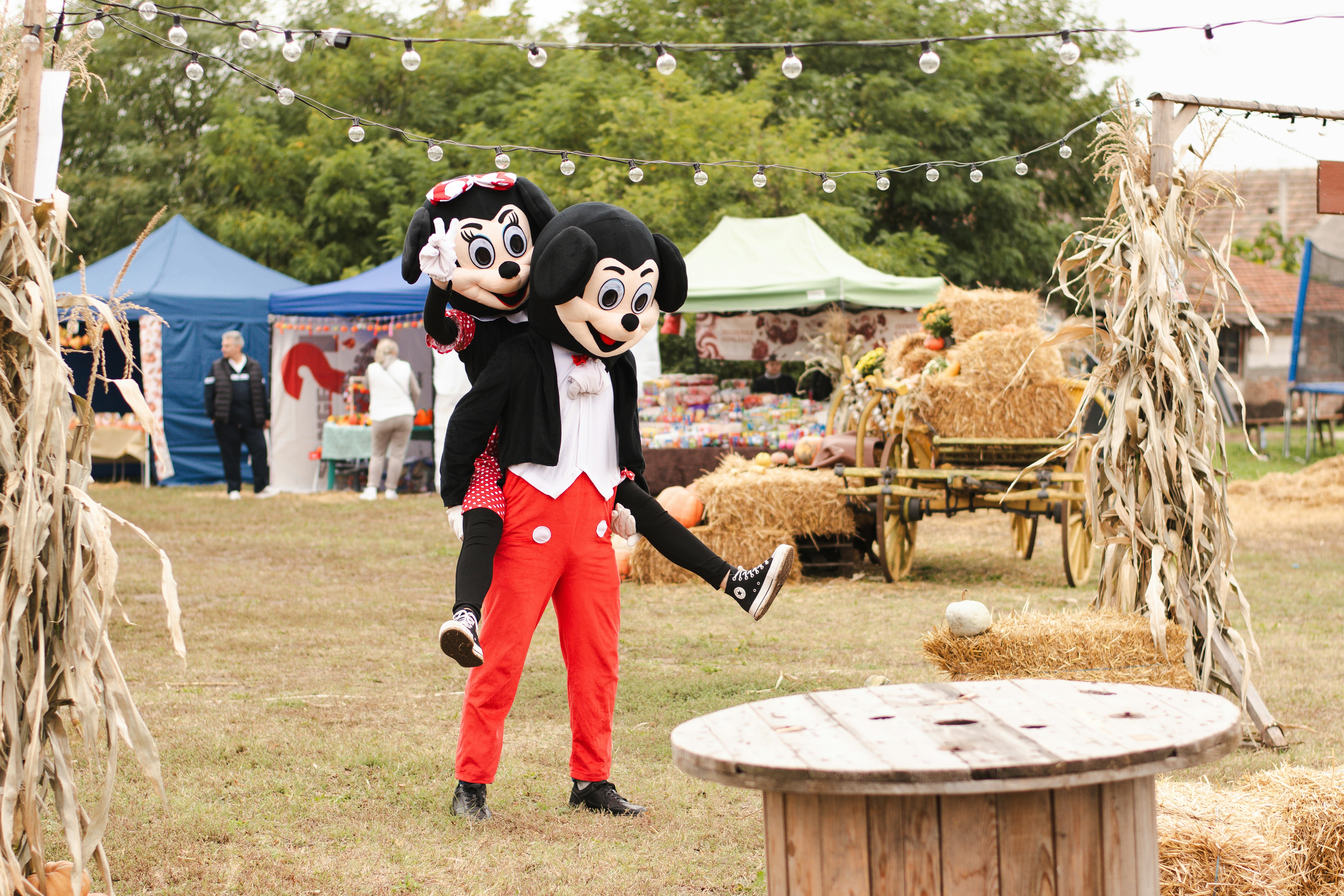 Photo by Ionela Mat with Nikon D5600