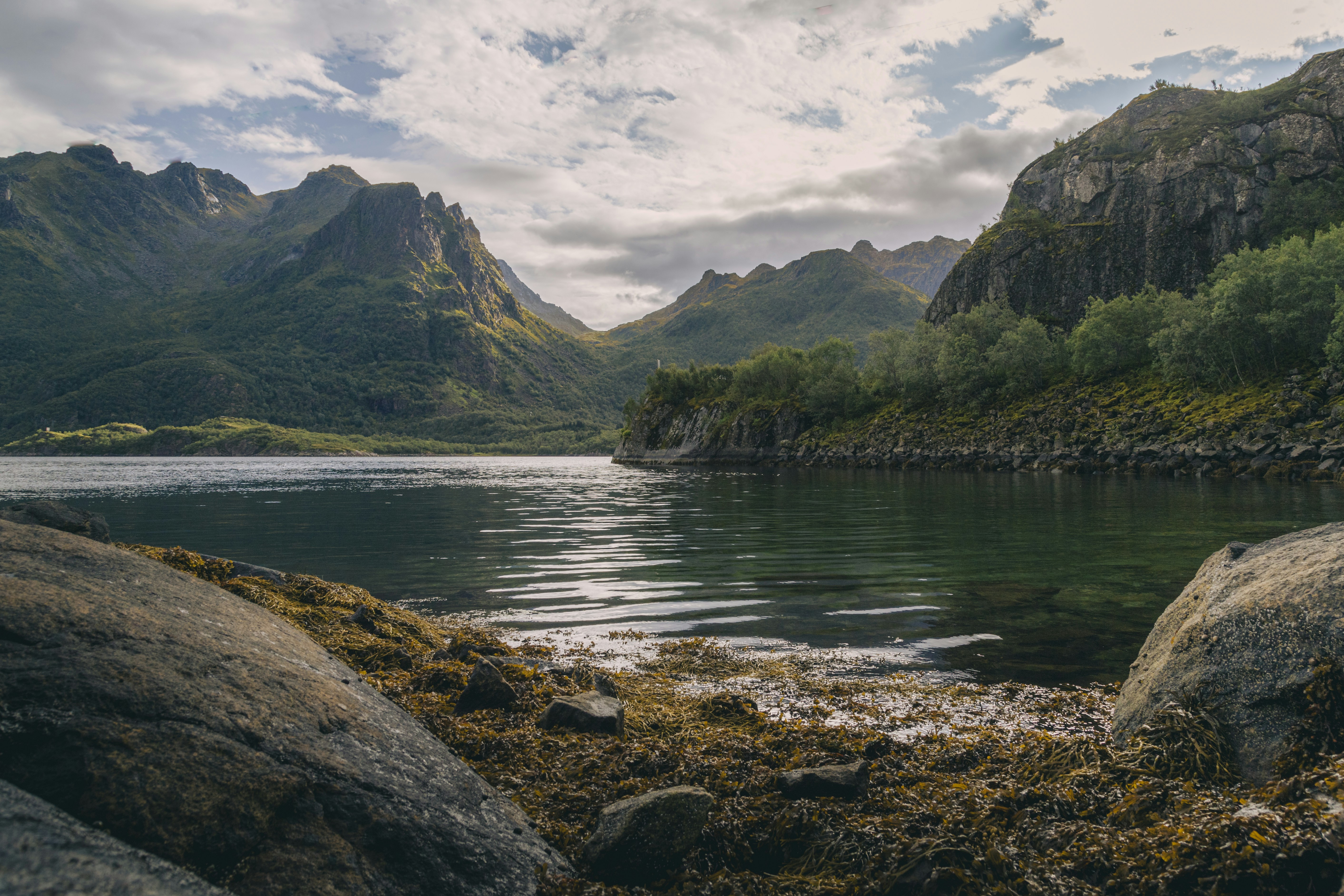 Serene fjord reflecting rugged mountains under a cloudy sky, with rocky shoreline and lush greenery. A tranquil scene that invites contemplation.