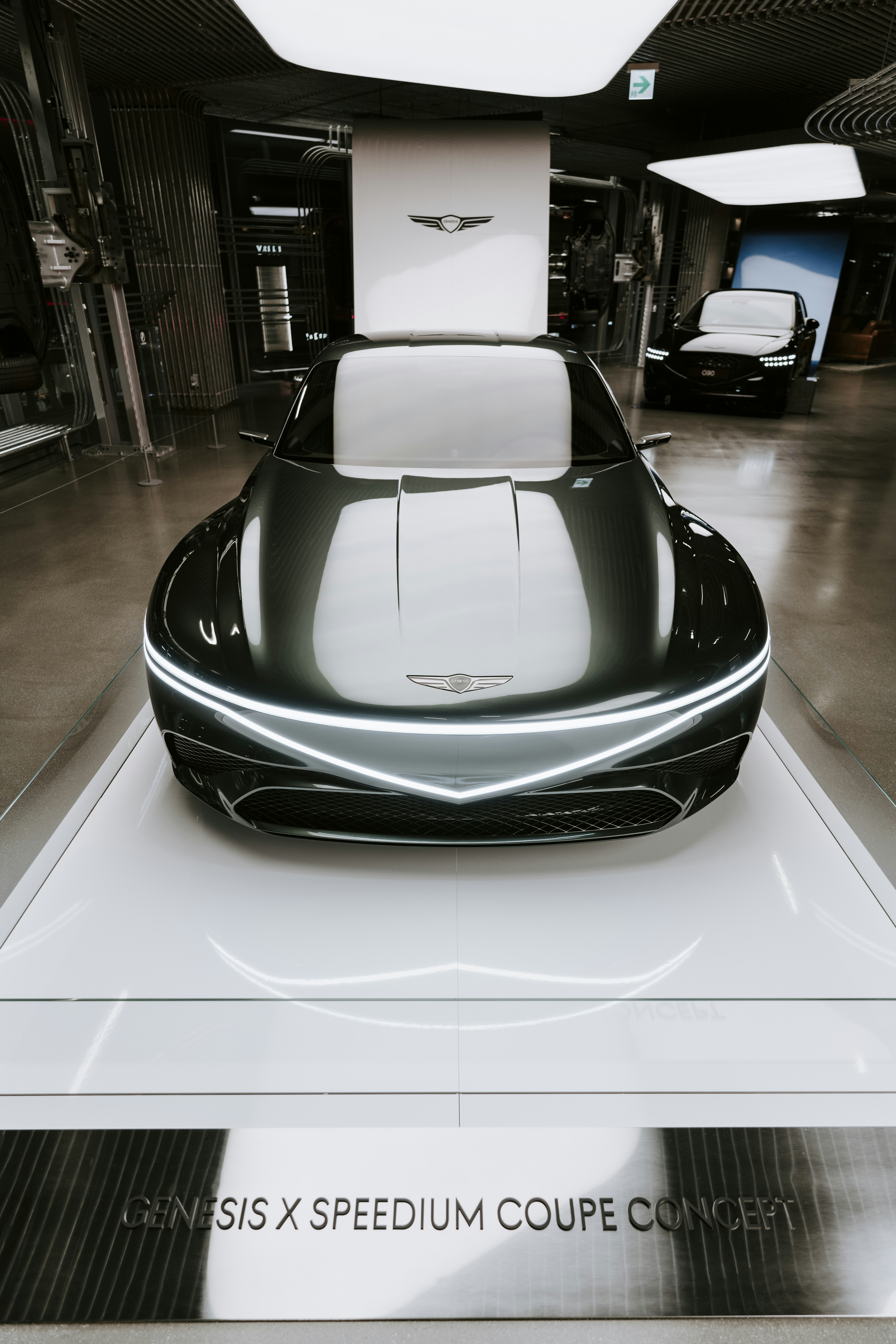 Photo by Hoyoun Lee with Sony Alpha 7R III